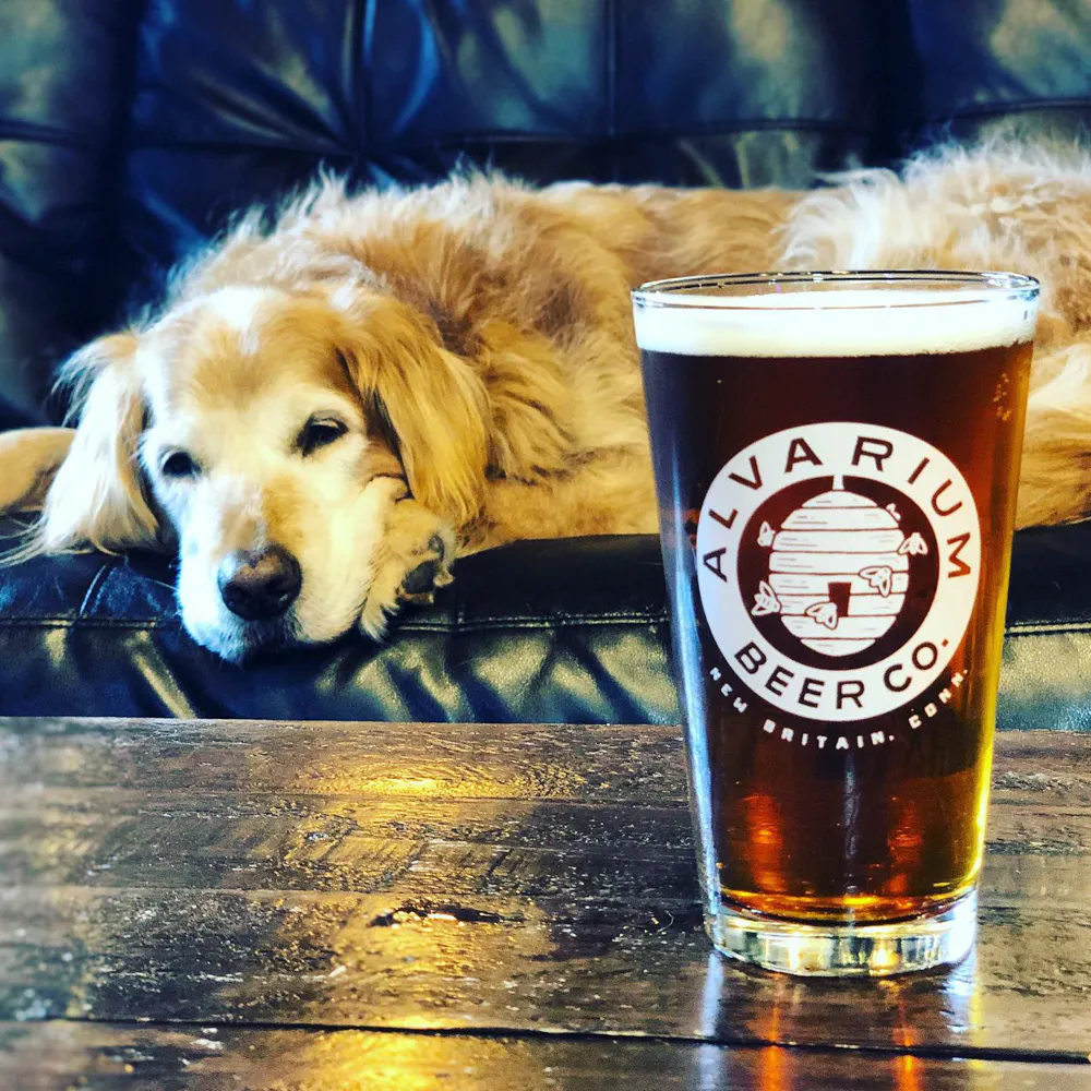 Griff | Alvarium Beer Co.