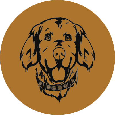 Beer Finder | Alvarium Beer Co.