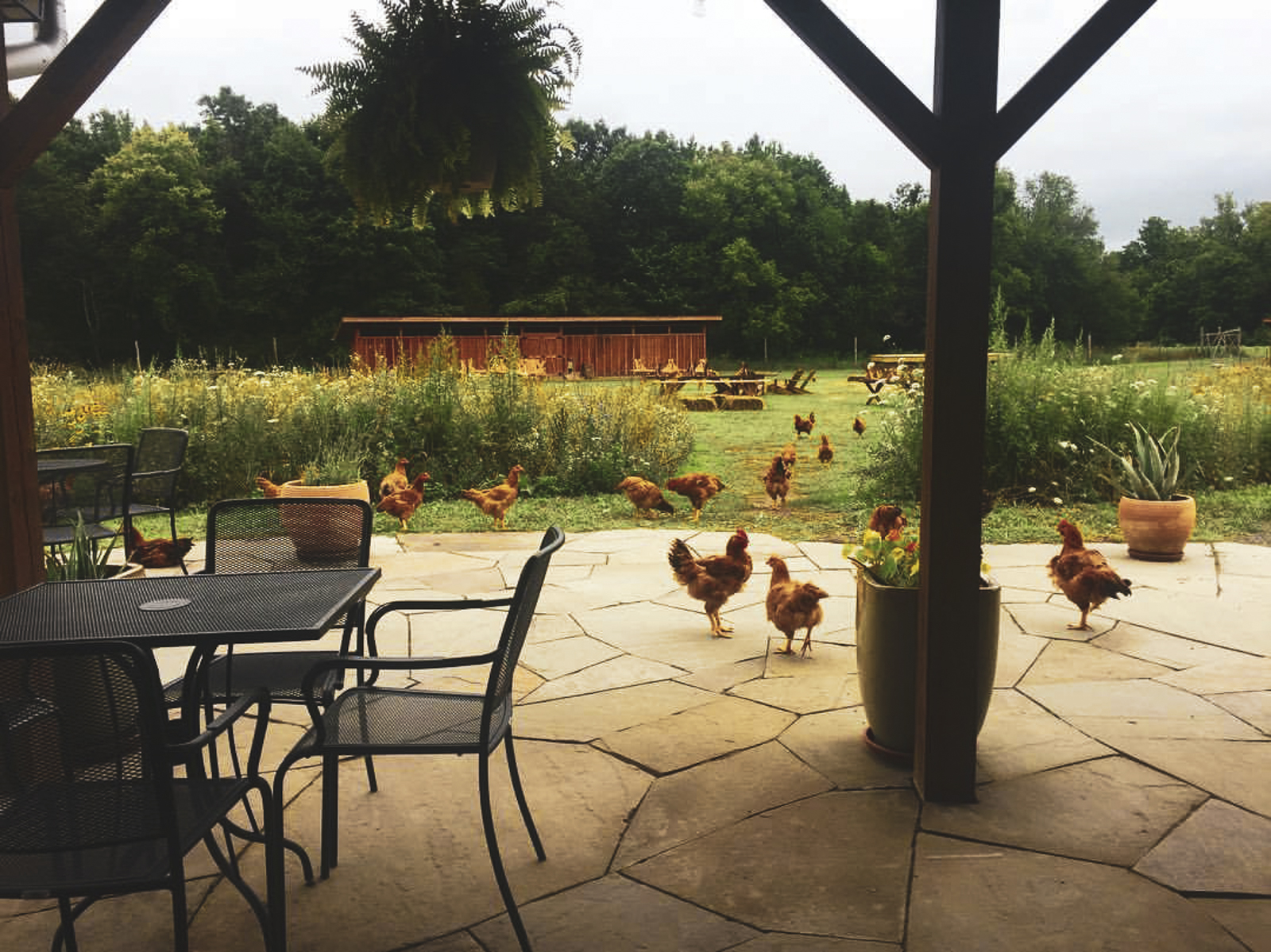 The Farm | Arrowood Farms