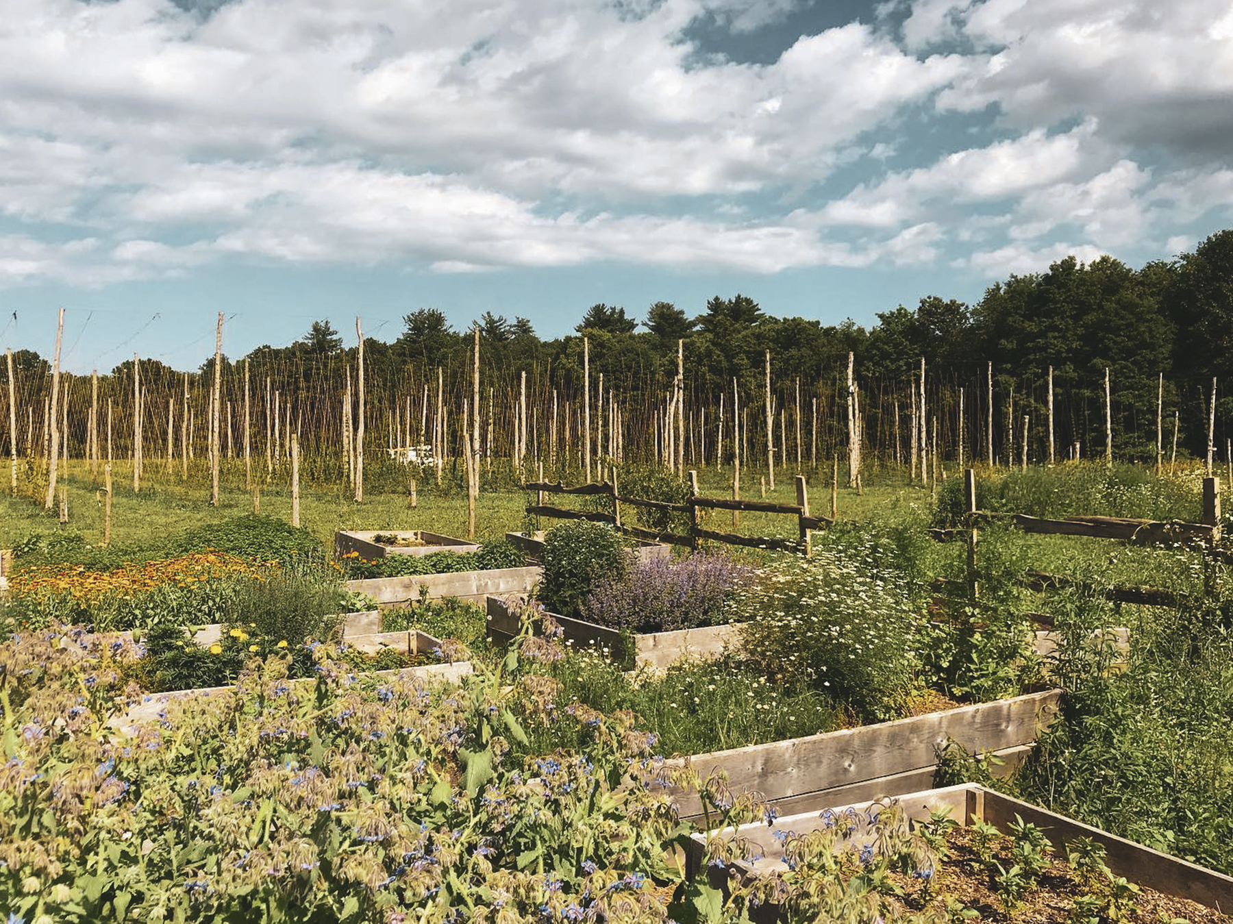 The Farm | Arrowood Farms