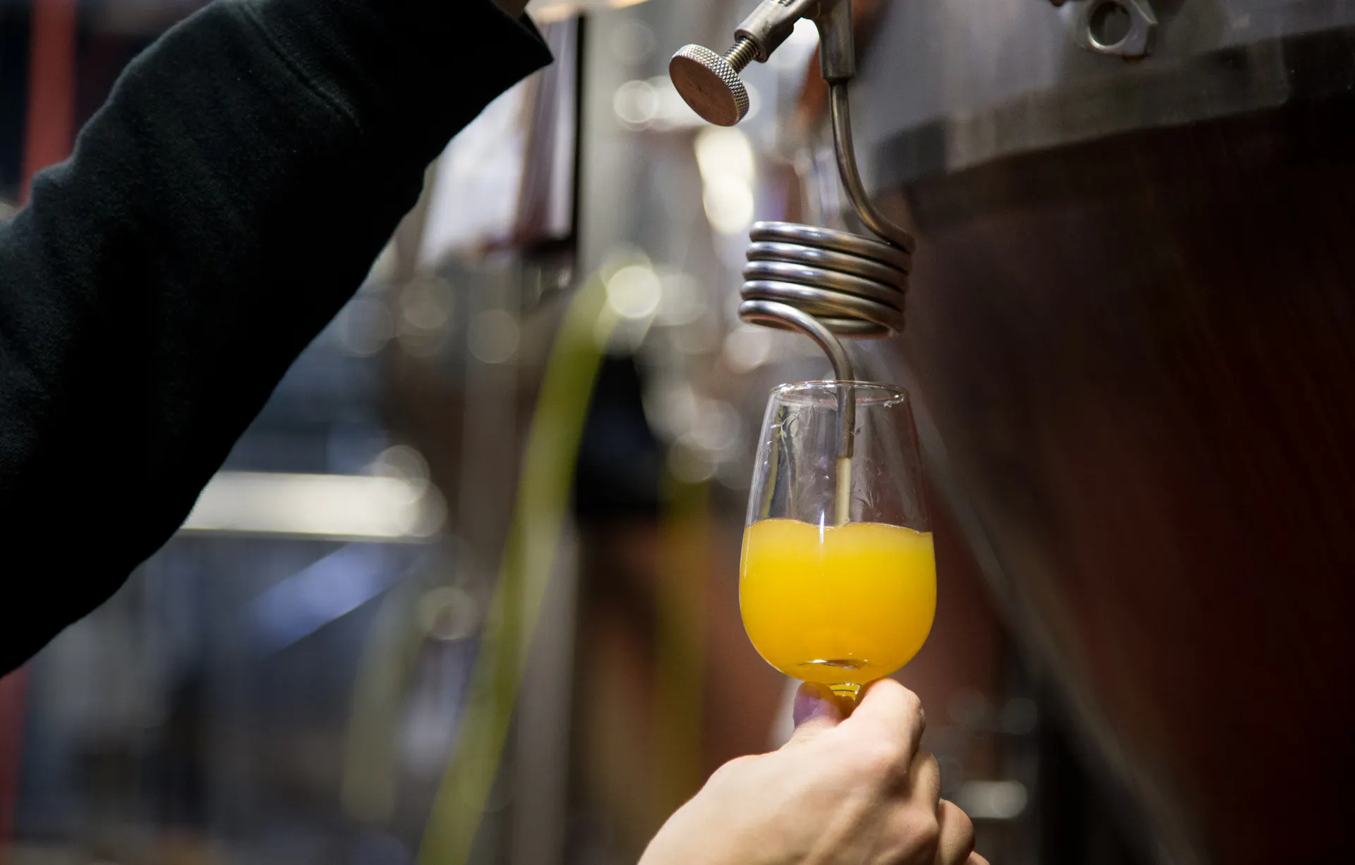 About | Bearded Iris Brewing