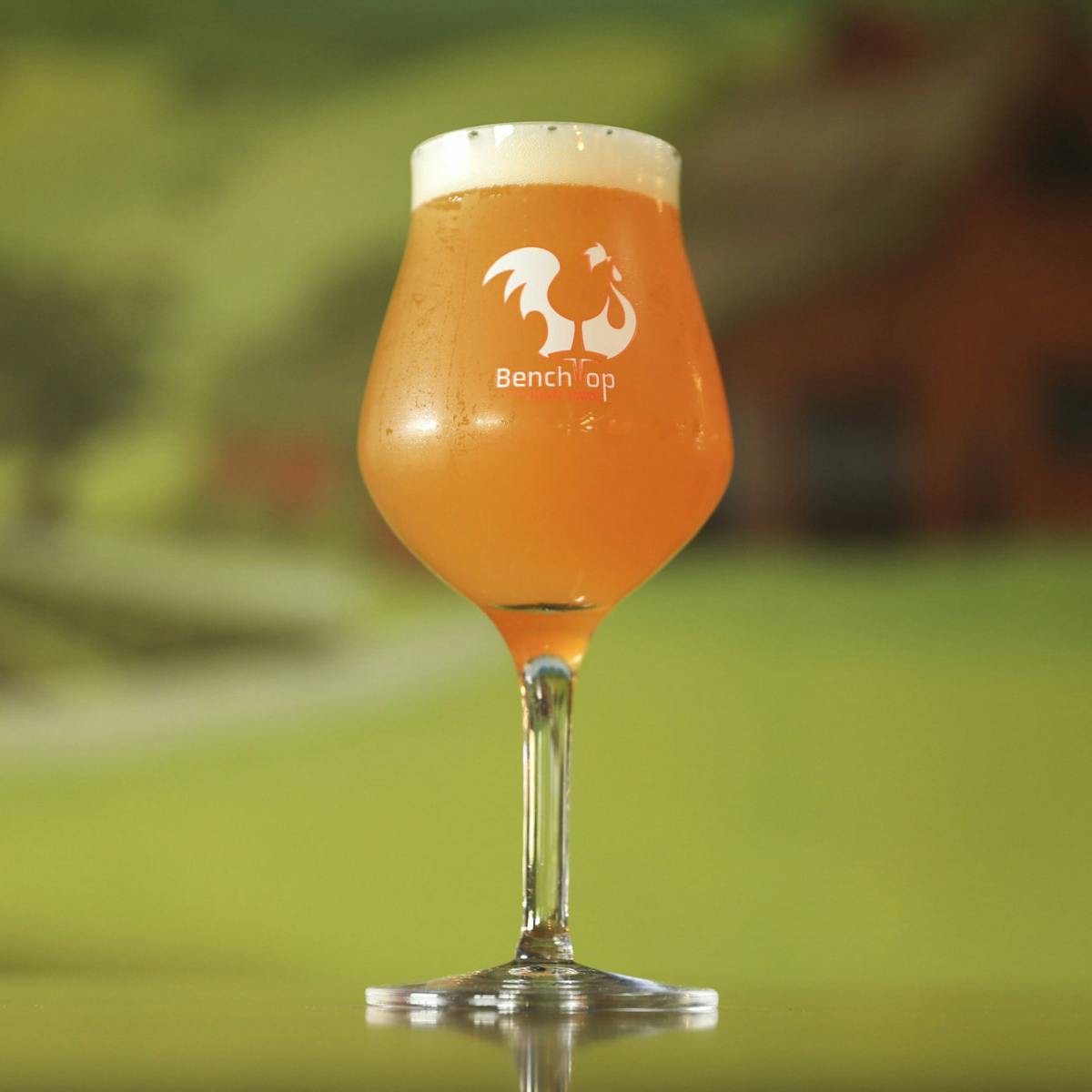 Why the Gong Face | Benchtop Brewing