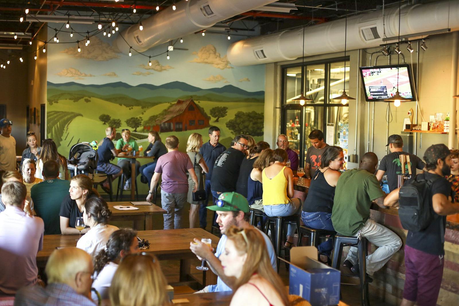 Benchtop Brewing | Norfolk VA Craft Brewery