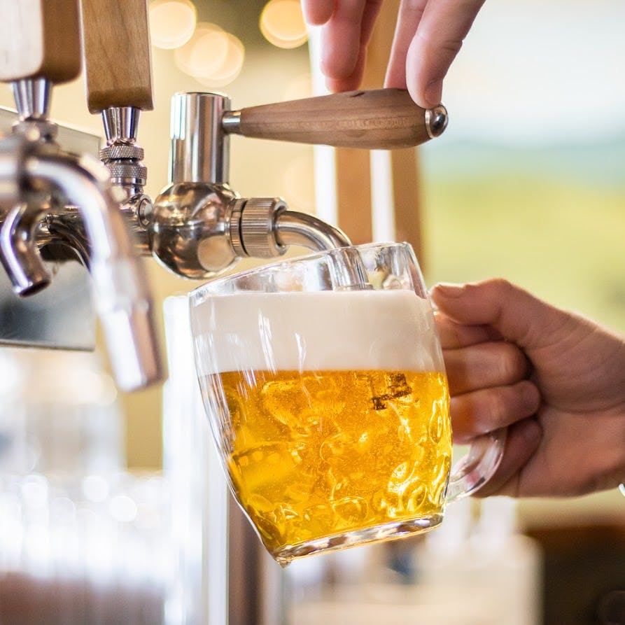 Benchtop Loyalty Club | Benchtop Brewing