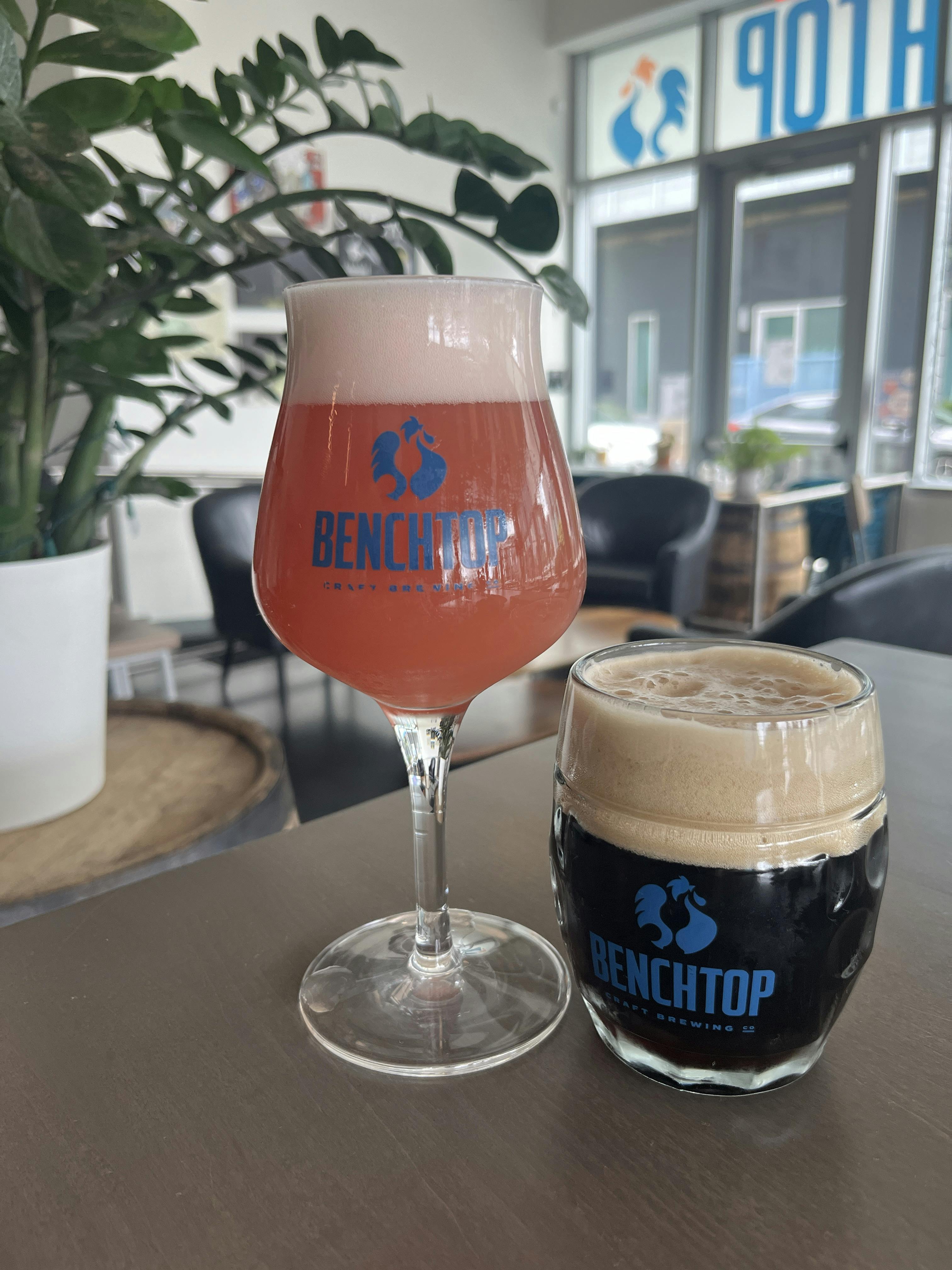 RVA Brewery Babes Meet Up | Benchtop Brewing