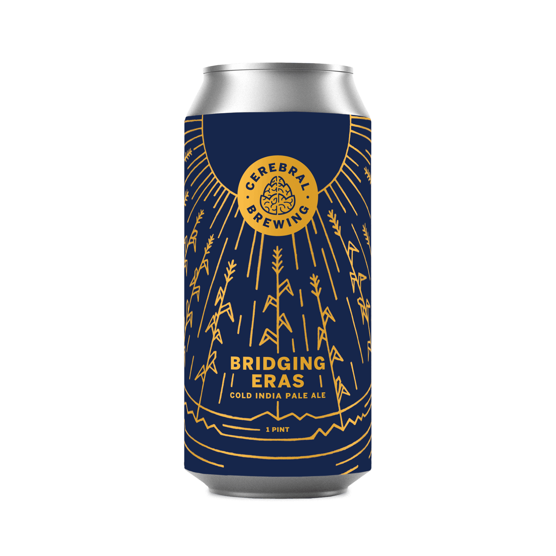 Bridging Eras | Cerebral Brewing