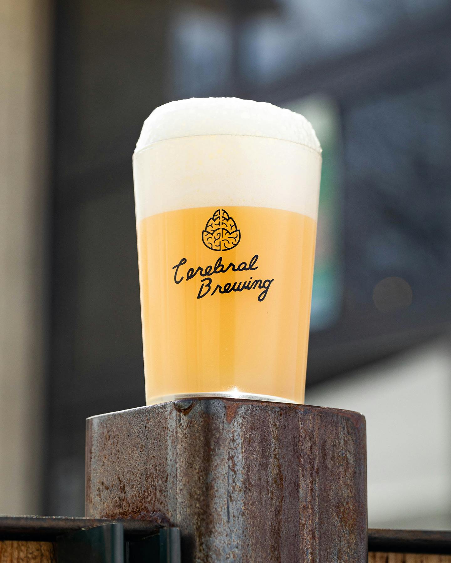 All the Hops - Our Approach to IPA | Cerebral Brewing