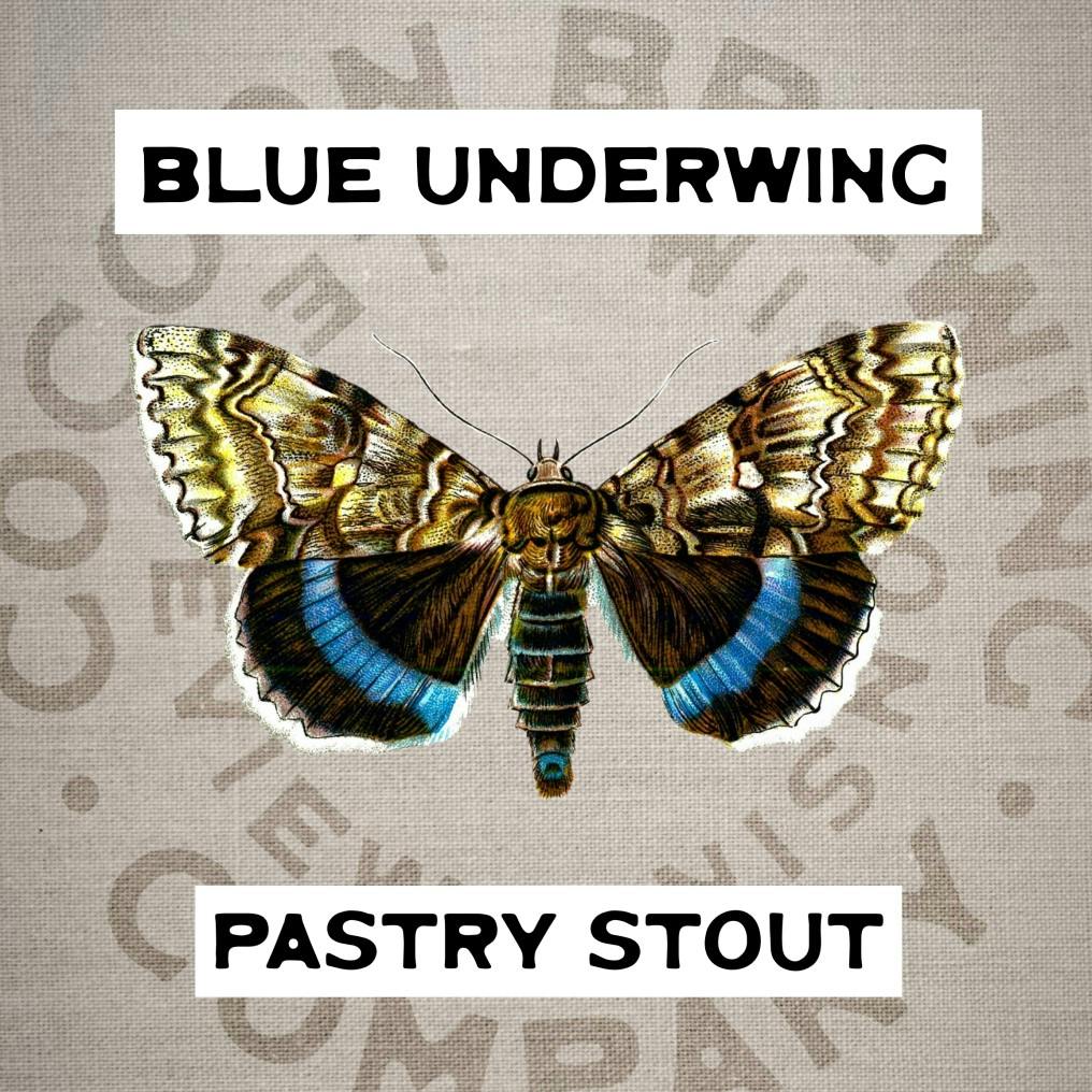 Blue Underwing | Cocoon Brewing