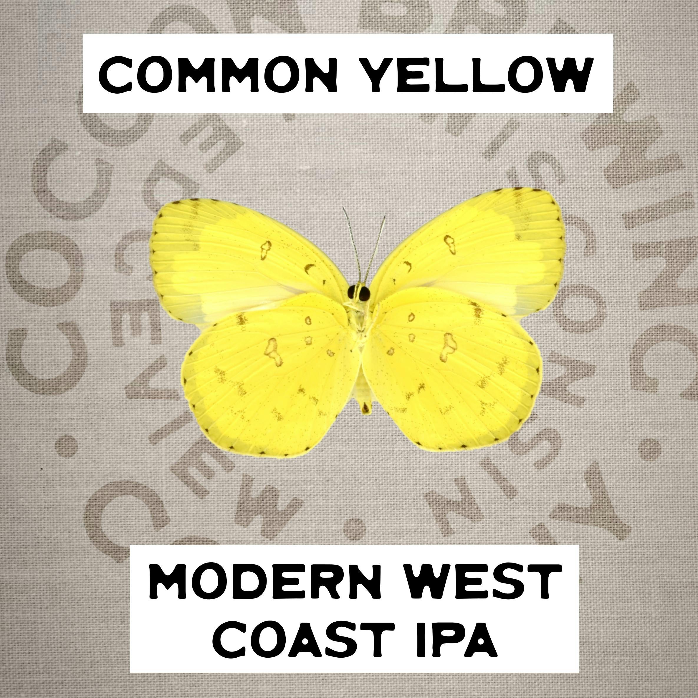 Common Yellow | Cocoon Brewing
