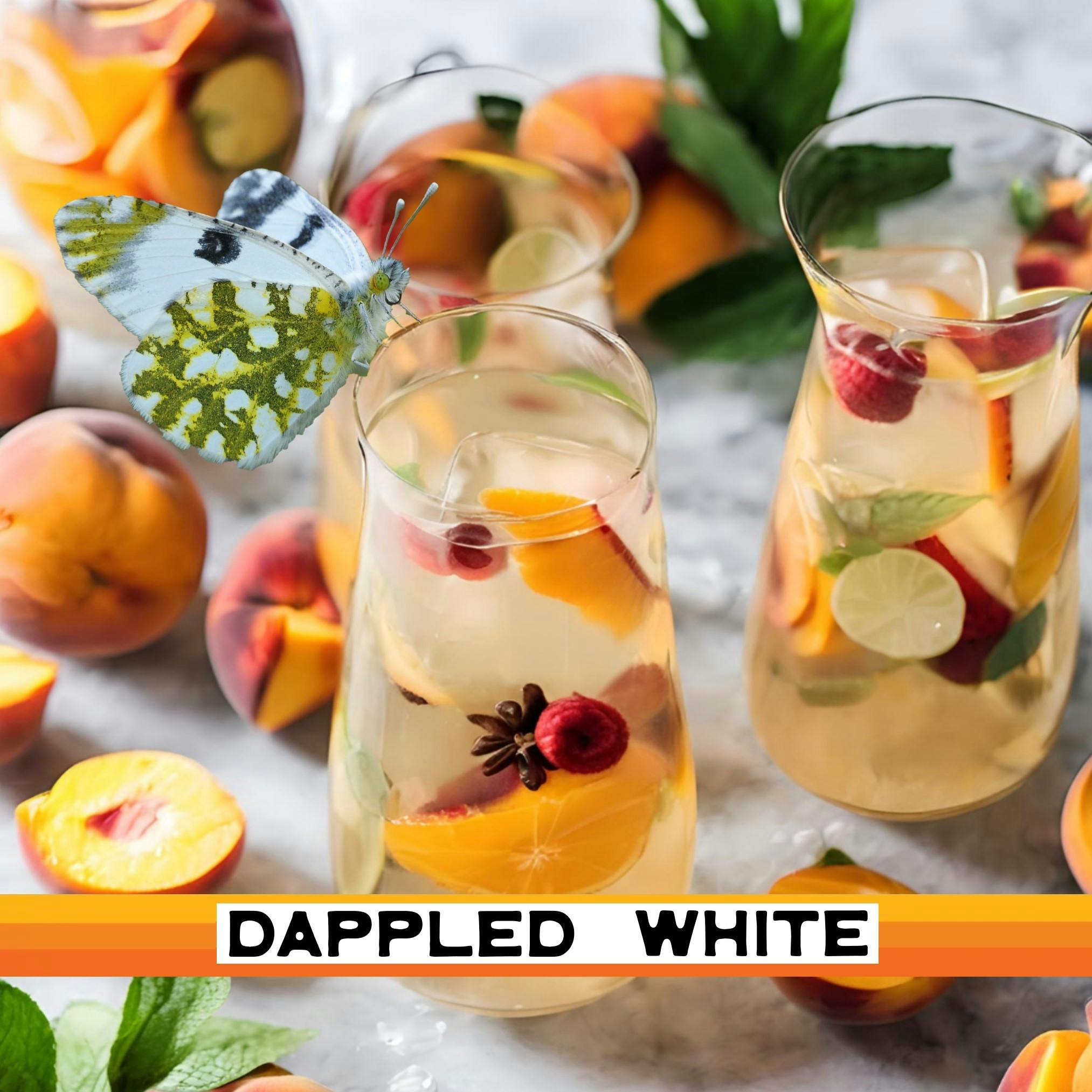 Dappled White | Cocoon Brewing