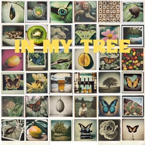 In My Tree | Cocoon Brewing