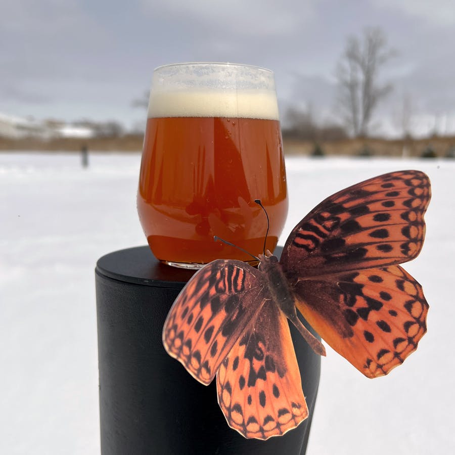 Northwestern Fritillary | Cocoon Brewing