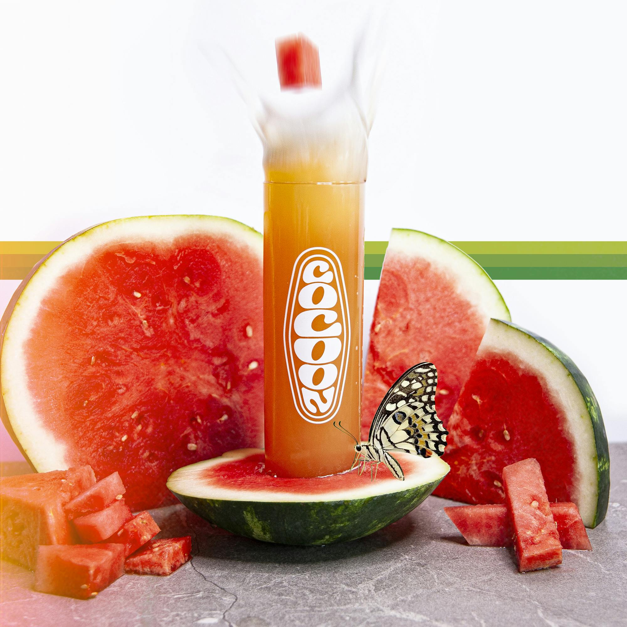 Watermelon Salt Sipper | Cocoon Brewing