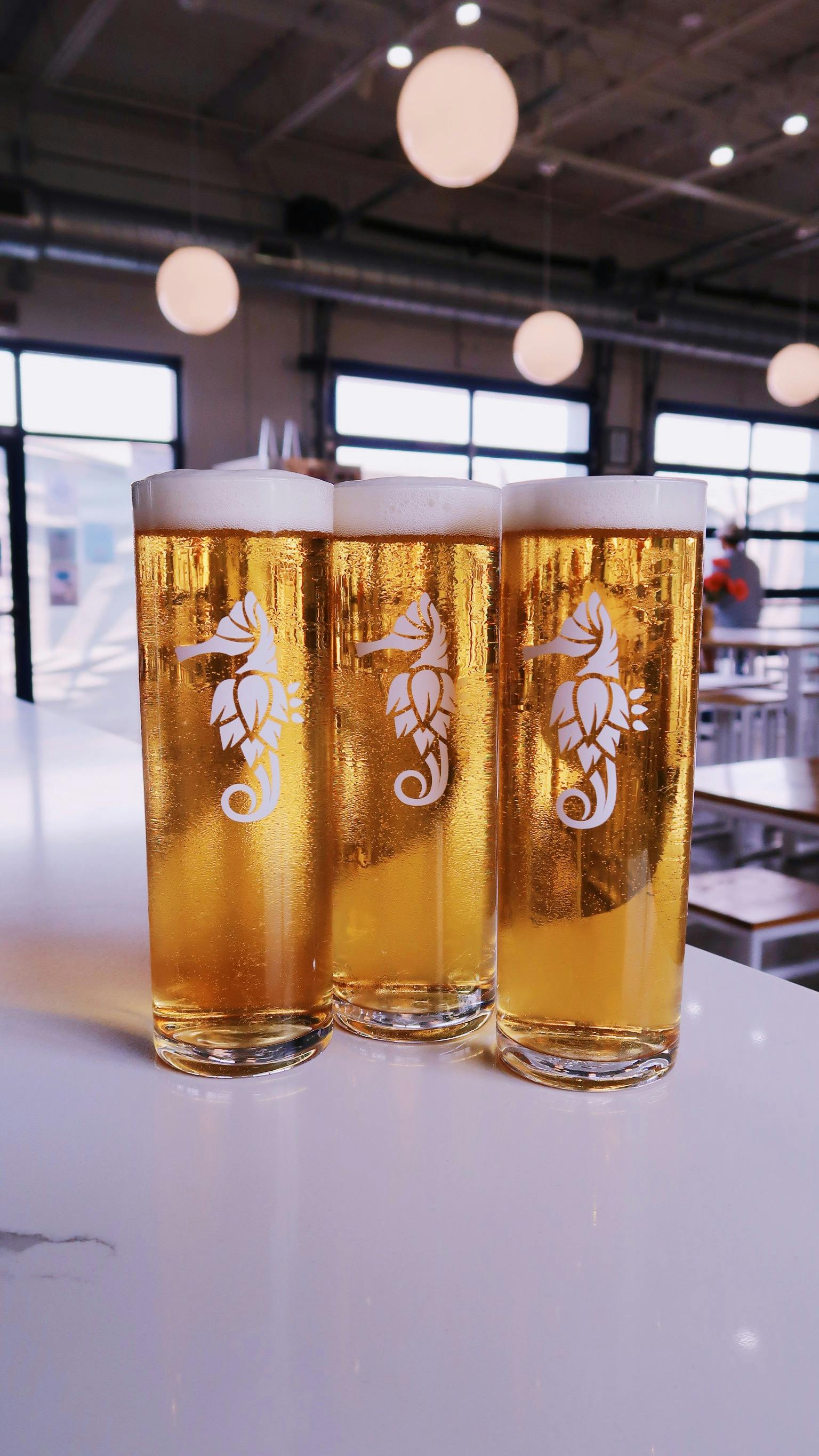 Our Beers | Cova Brewing Co