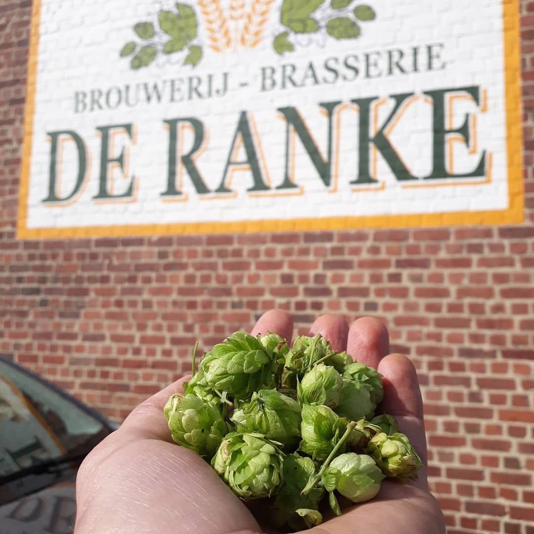 Brewery De Ranke | Craft Collective