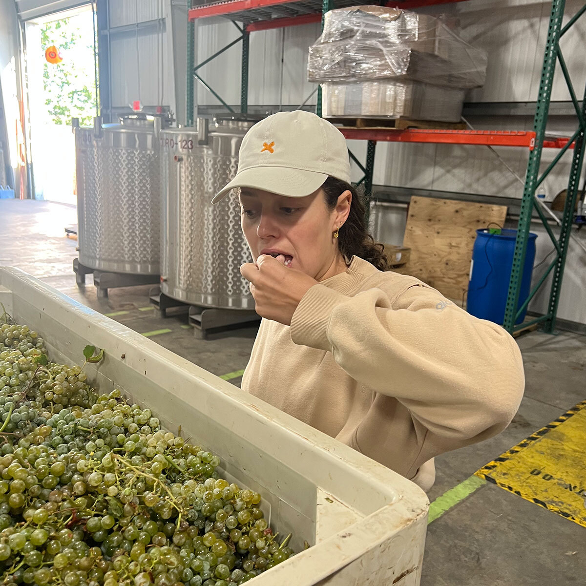 Catch and Release Wines | Craft Collective