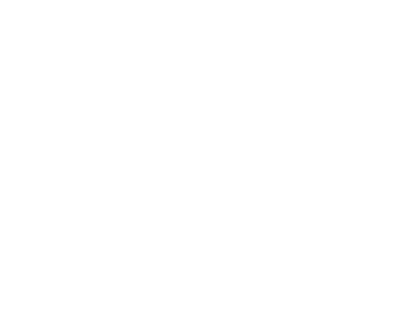 Logos | DSSOLVR