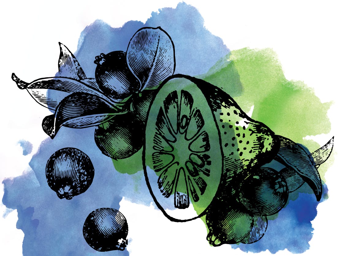 Sour Blueberry Lime | Edmunds Oast Brewing Co