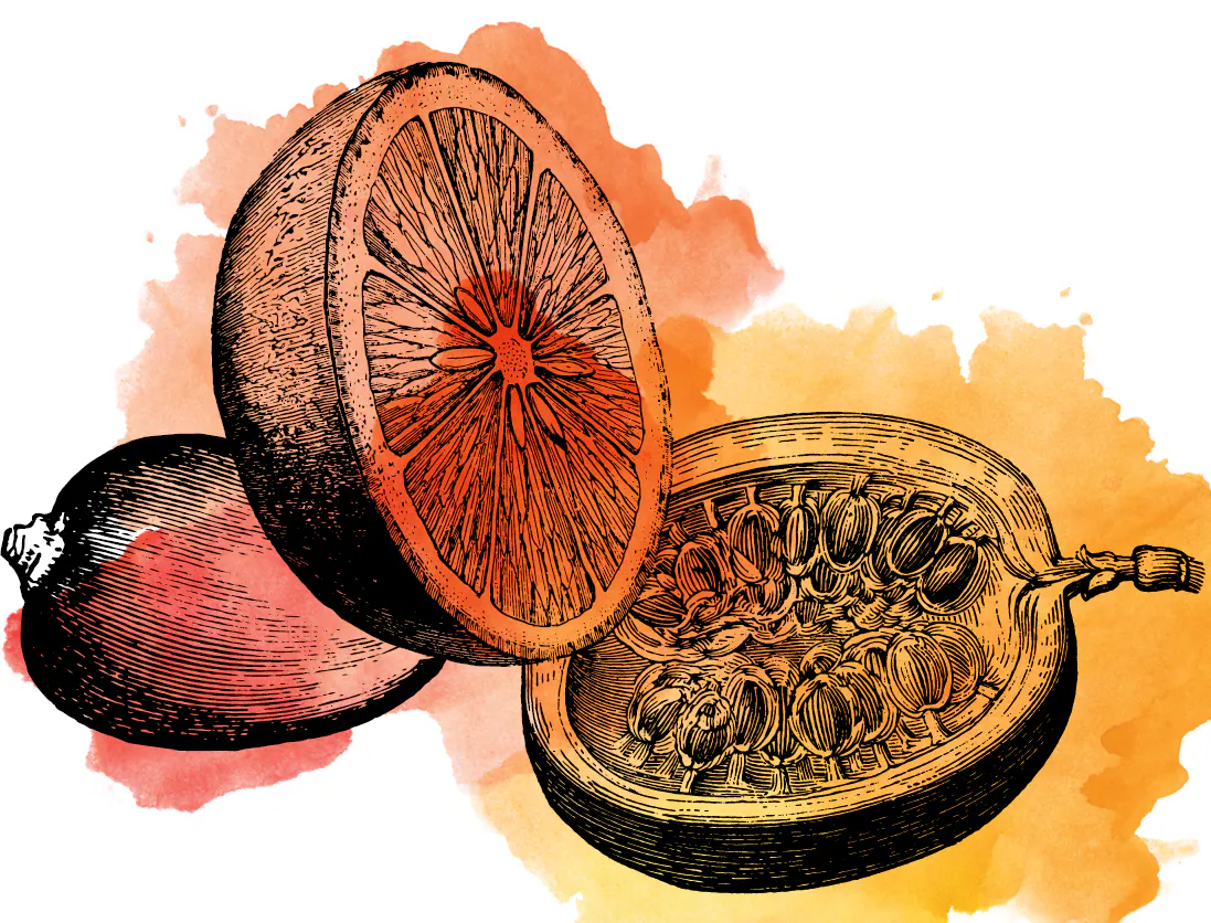 Sour Mango Orange Passionfruit | Edmunds Oast Brewing Co
