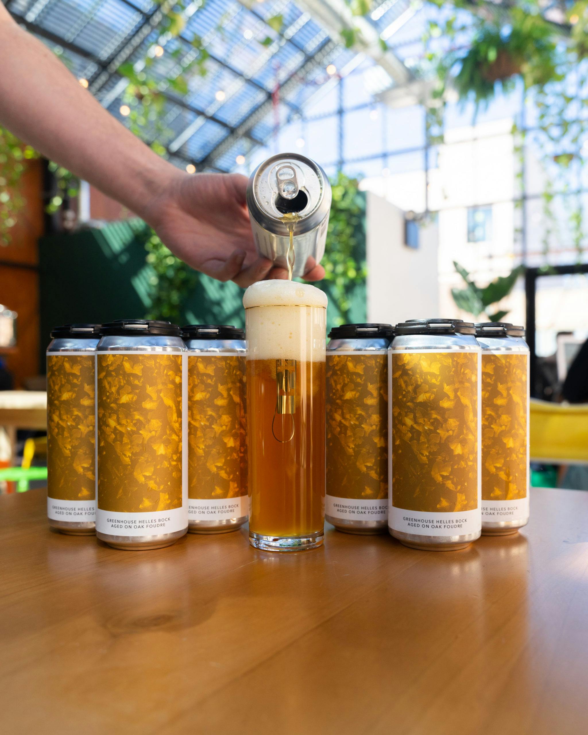 GREENHOUSE HELLES BOCK CONDITIONED ON AMERICAN OAK FOUDRE | Evil Twin ...