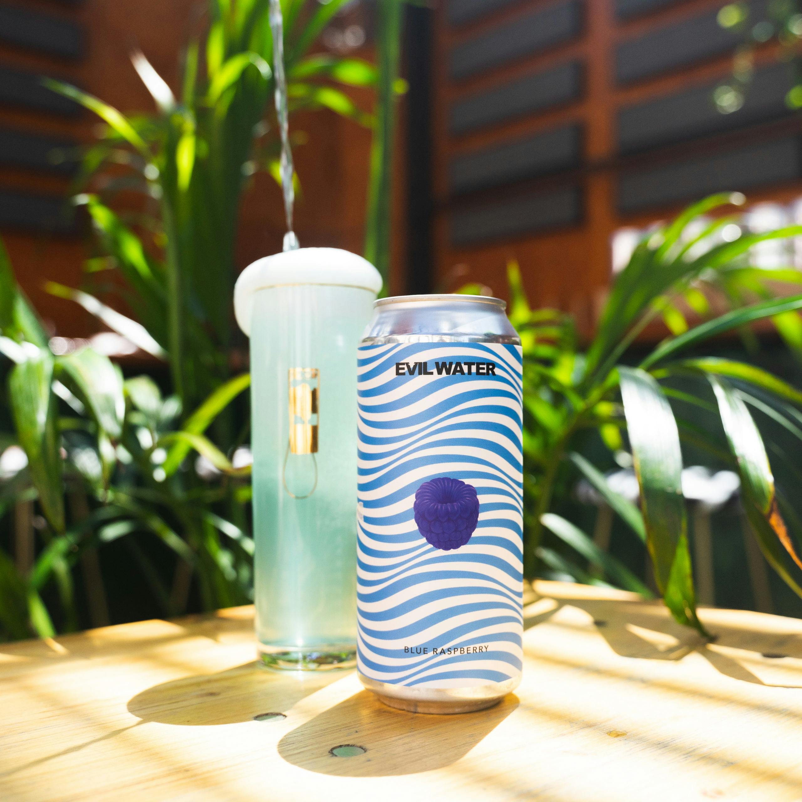 EVIL WATER - BLUE RASPBERRY | Evil Twin Brewing NYC