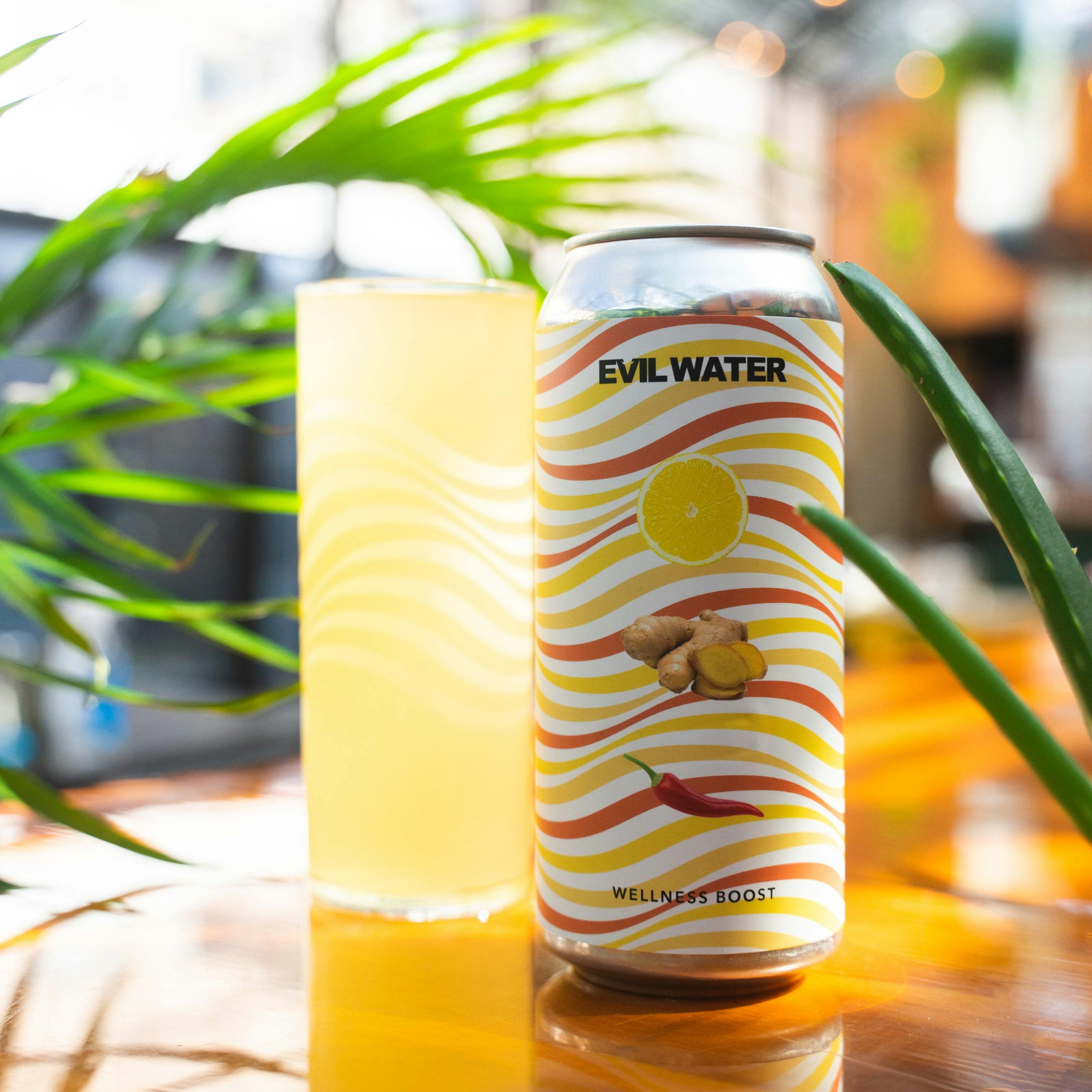 EVIL WATER - WELLNESS BOOST | Evil Twin Brewing NYC