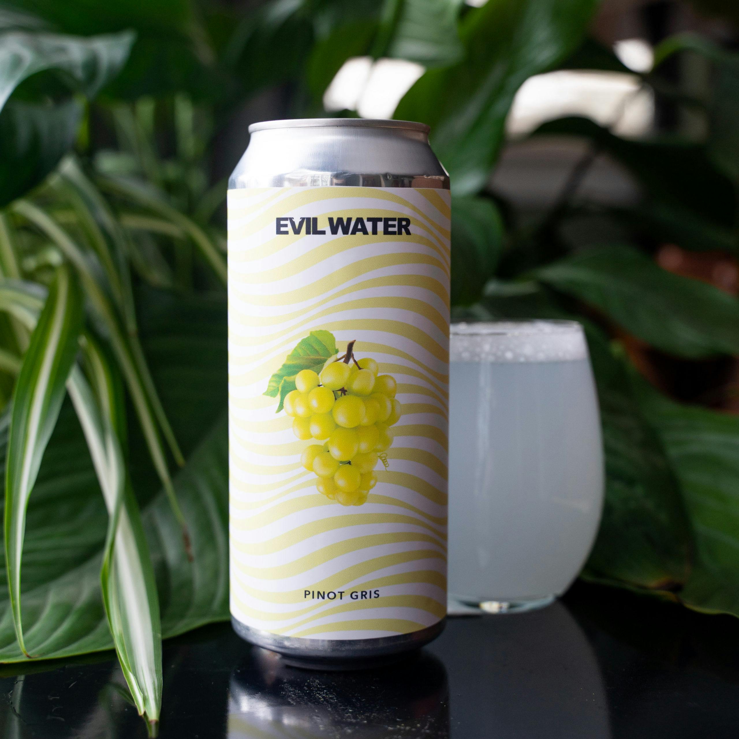 EVIL WATER - PINOT GRIS | Evil Twin Brewing NYC
