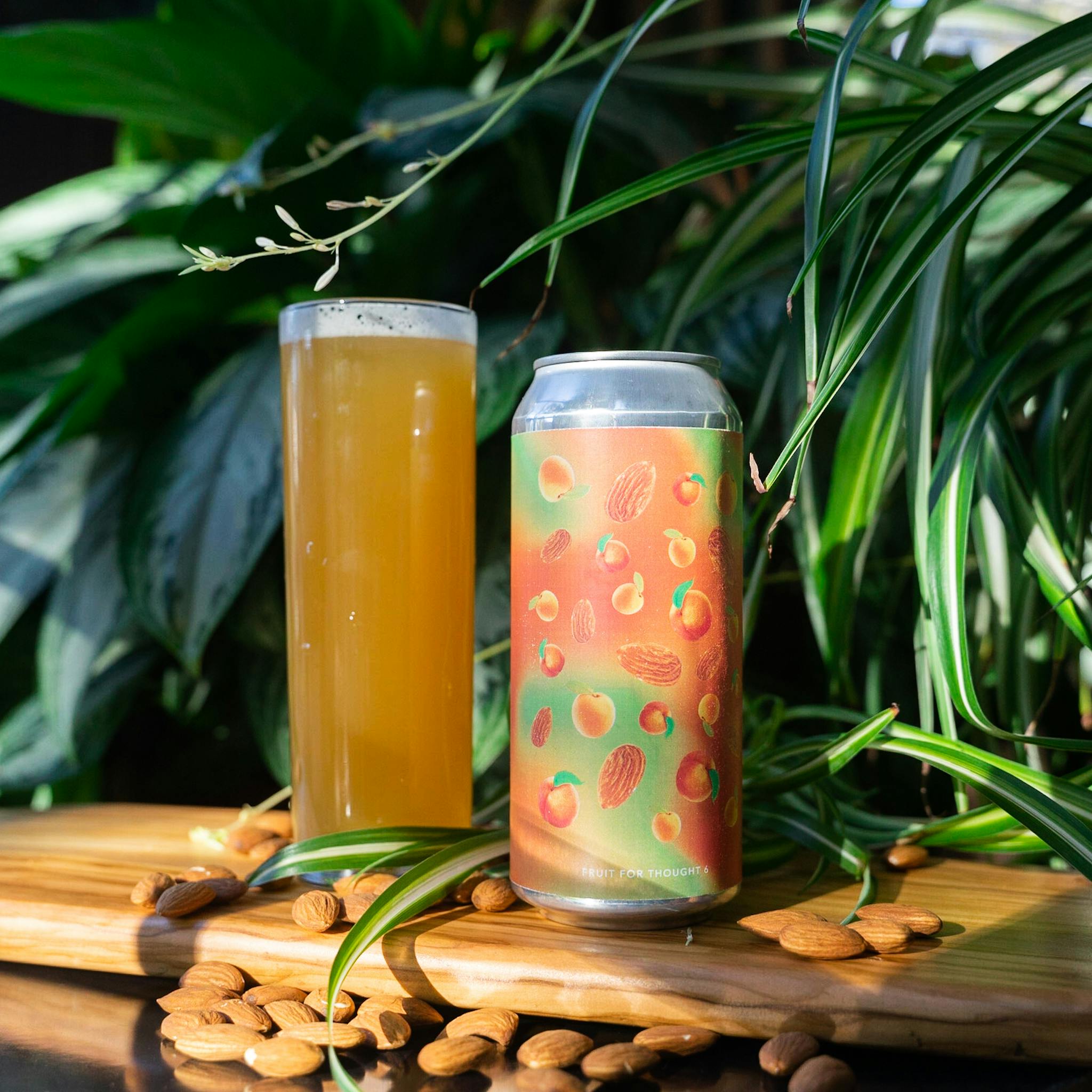 FRUIT FOR THOUGHT 6 - PEACH, APRICOT, ALMOND | Evil Twin Brewing NYC
