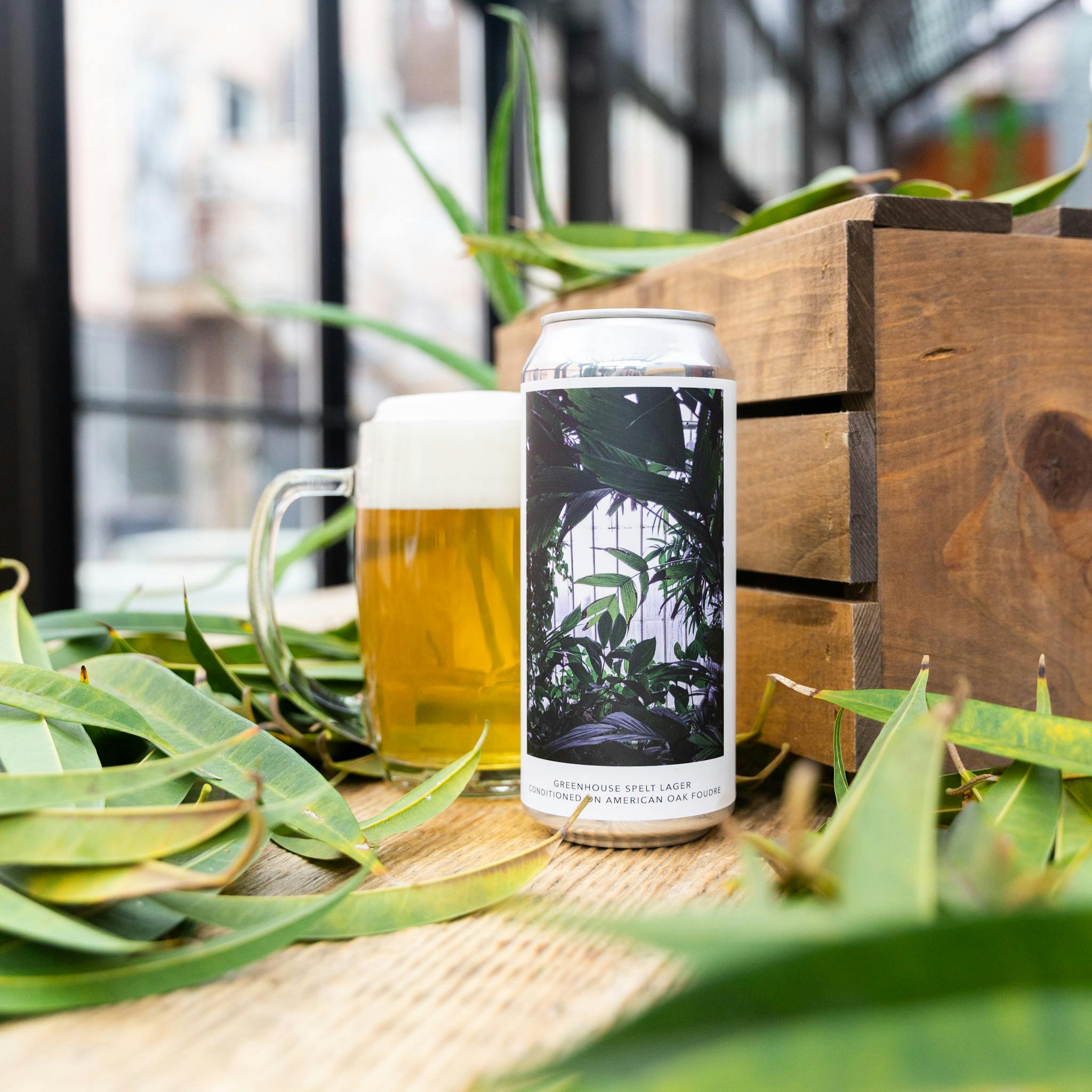 GREENHOUSE SPELT LAGER CONDITIONED ON AMERICAN OAK FOUDRE | Evil Twin ...