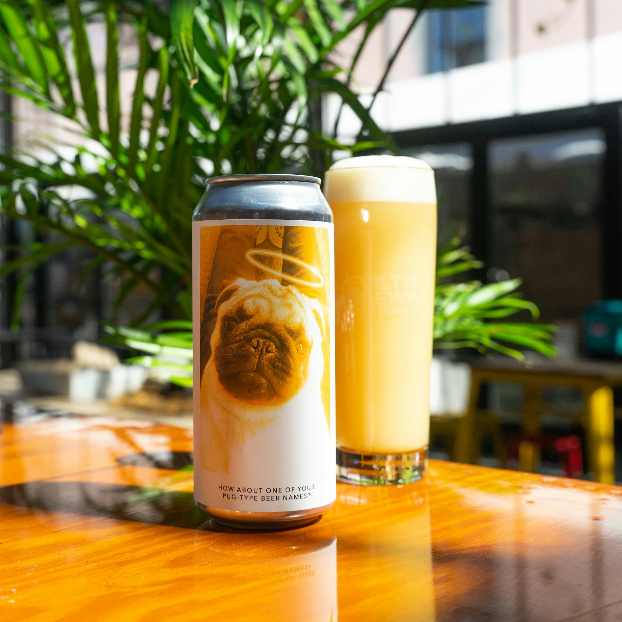 HOW ABOUT ONE OF YOUR PUG-TYPE BEER NAMES? | Evil Twin Brewing NYC