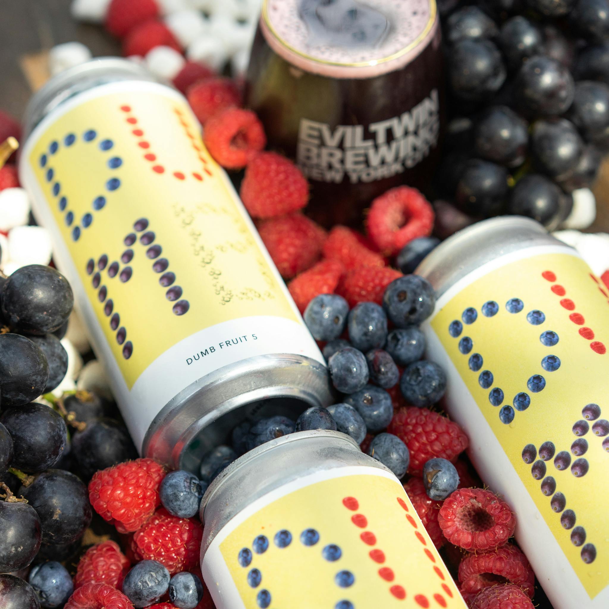 DUMB FRUIT 5 - BLUEBERRY, RASPBERRY, CONCORD GRAPE, CHAMPAGNE BUBBLES ...