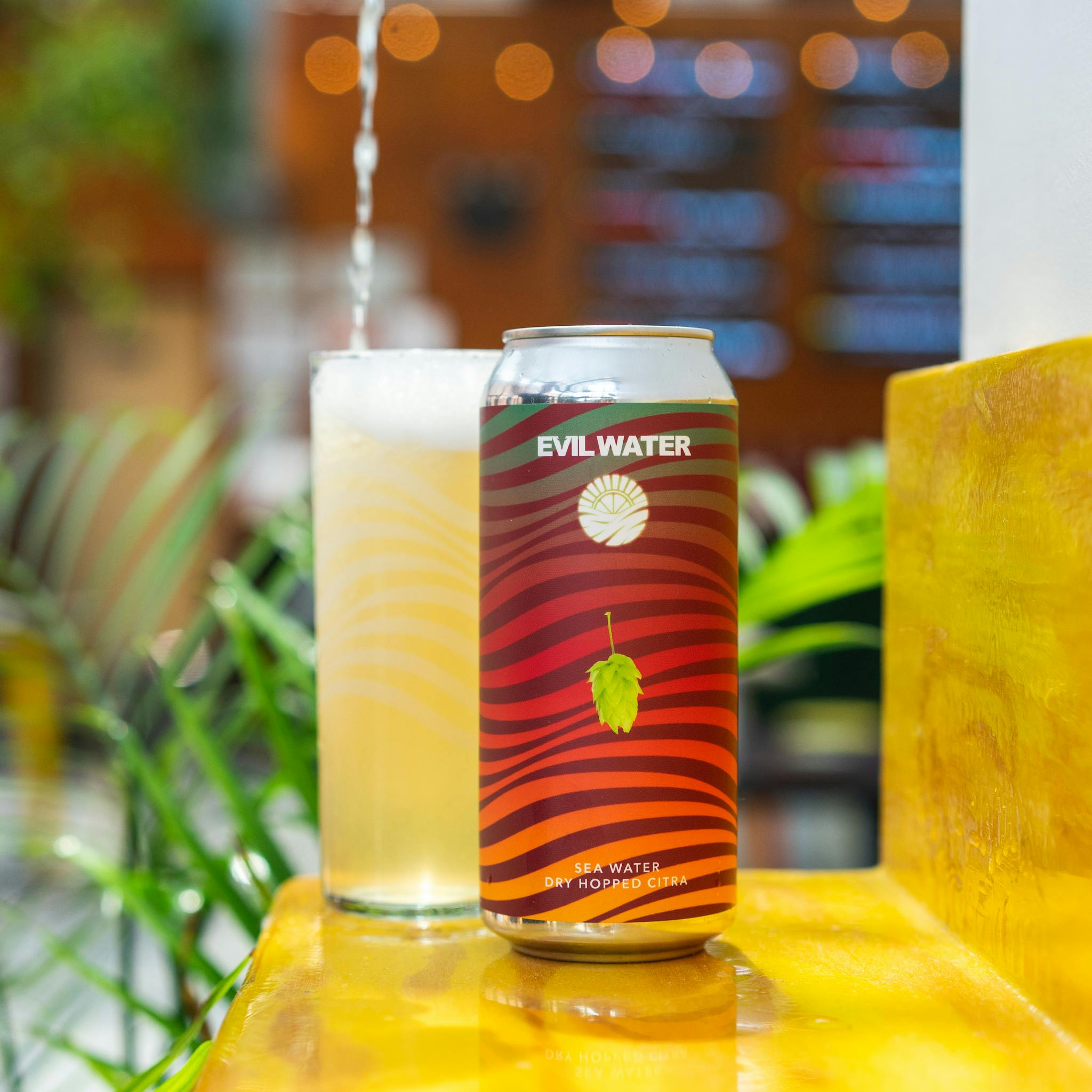 EVIL WATER SEA WATER - DRY HOPPED CITRA | Evil Twin Brewing NYC