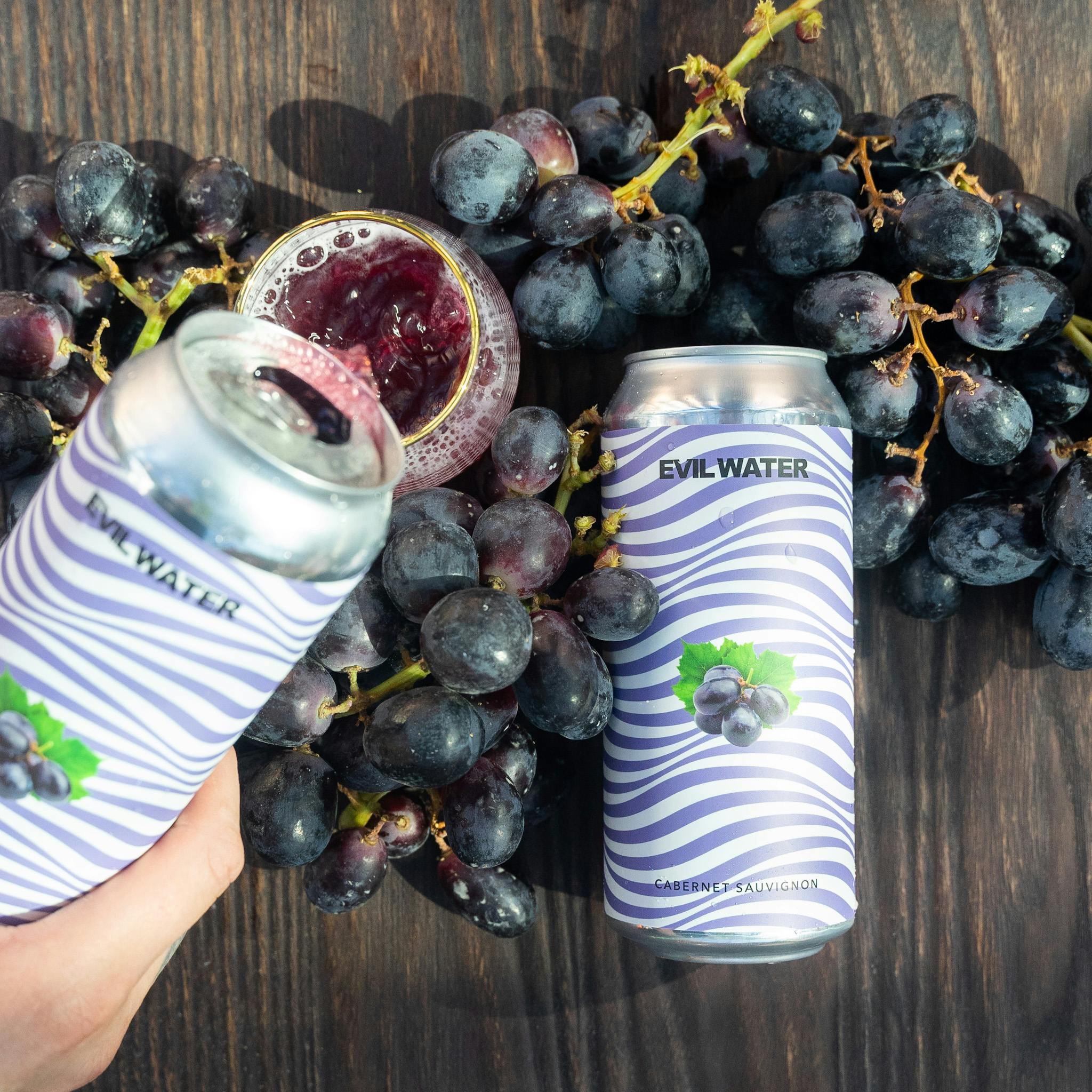 EVIL WATER - CABERNET SAUVIGNON | Evil Twin Brewing NYC