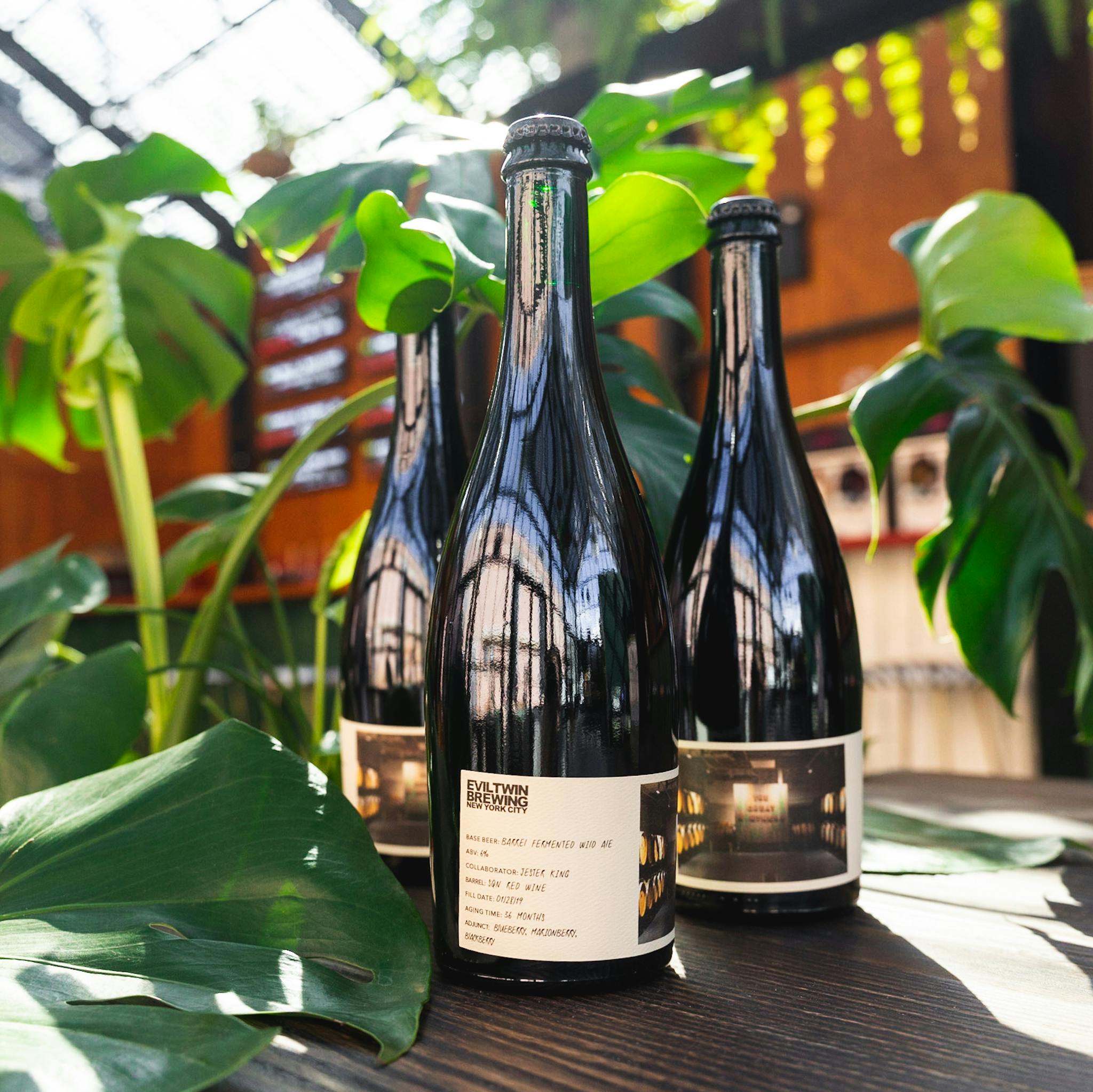 THE GREAT NORTHERN BARREL-AGED SERIES 24 | Evil Twin Brewing NYC