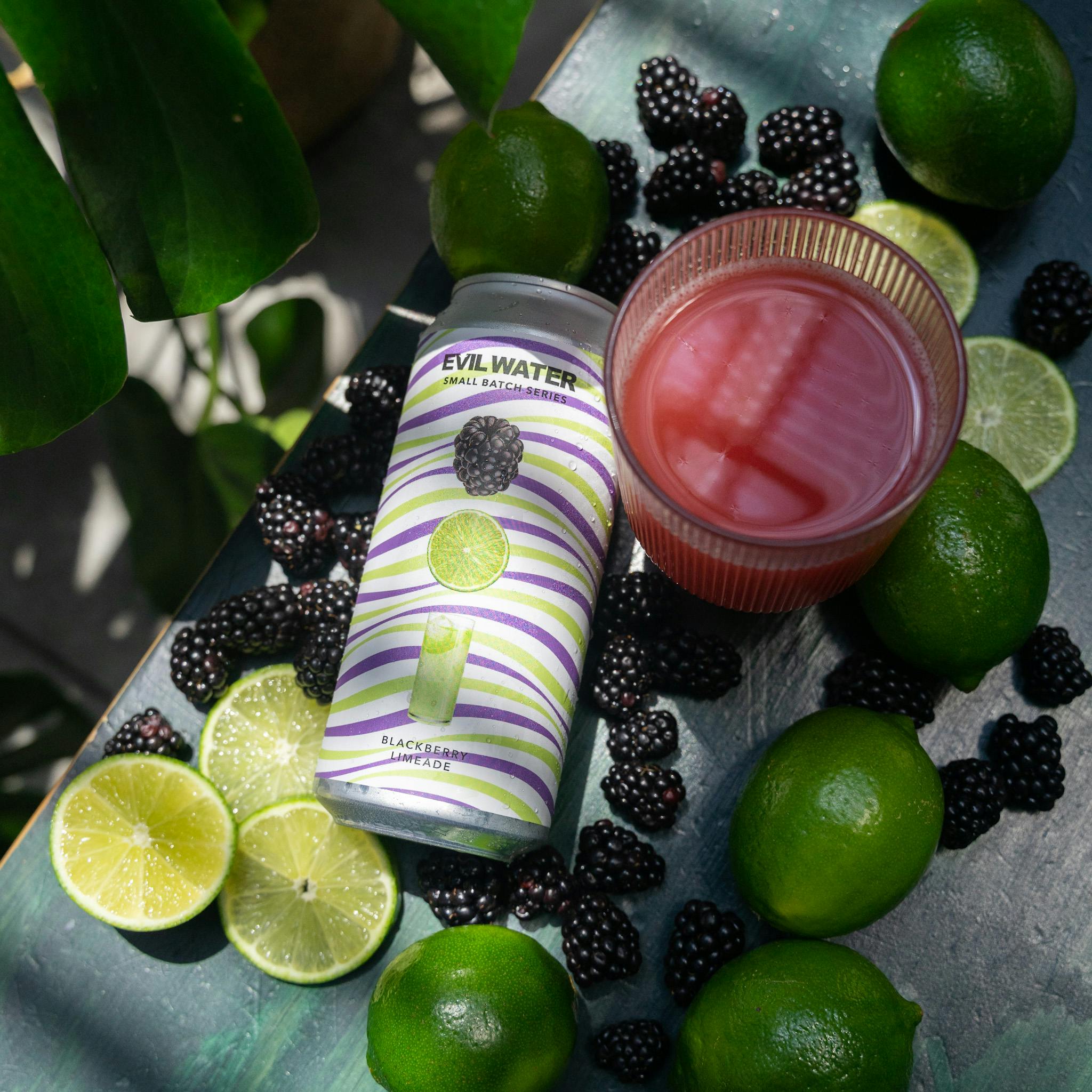EVIL WATER SMALL BATCH SERIES - BLACKBERRY LIMEADE | Evil Twin Brewing NYC
