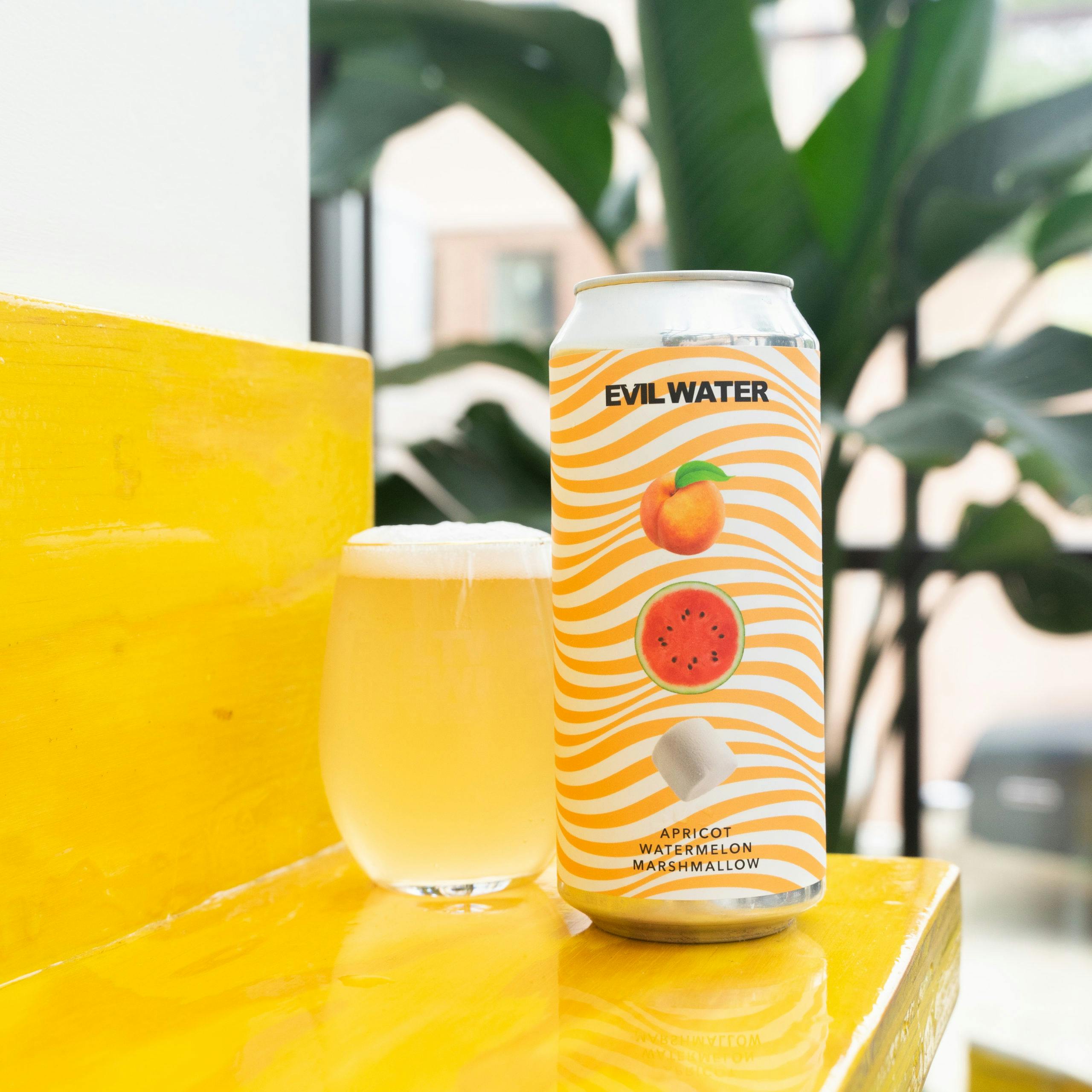 EVIL WATER - WATERMELON, APRICOT, MARSHMALLOW | Evil Twin Brewing NYC