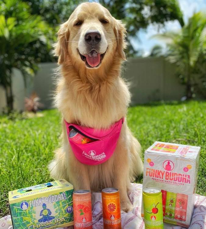 About Us | Funky Buddha