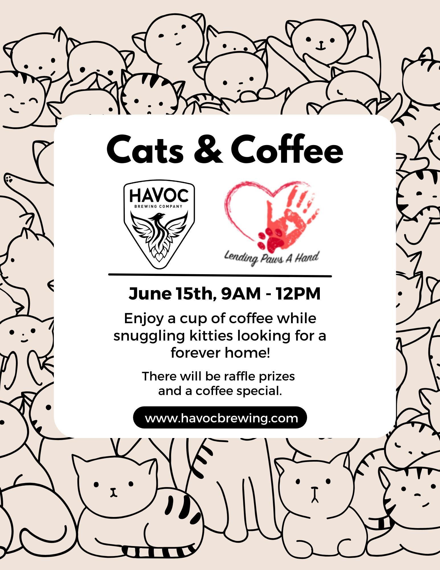 Cats & Coffee | Havoc Brewing