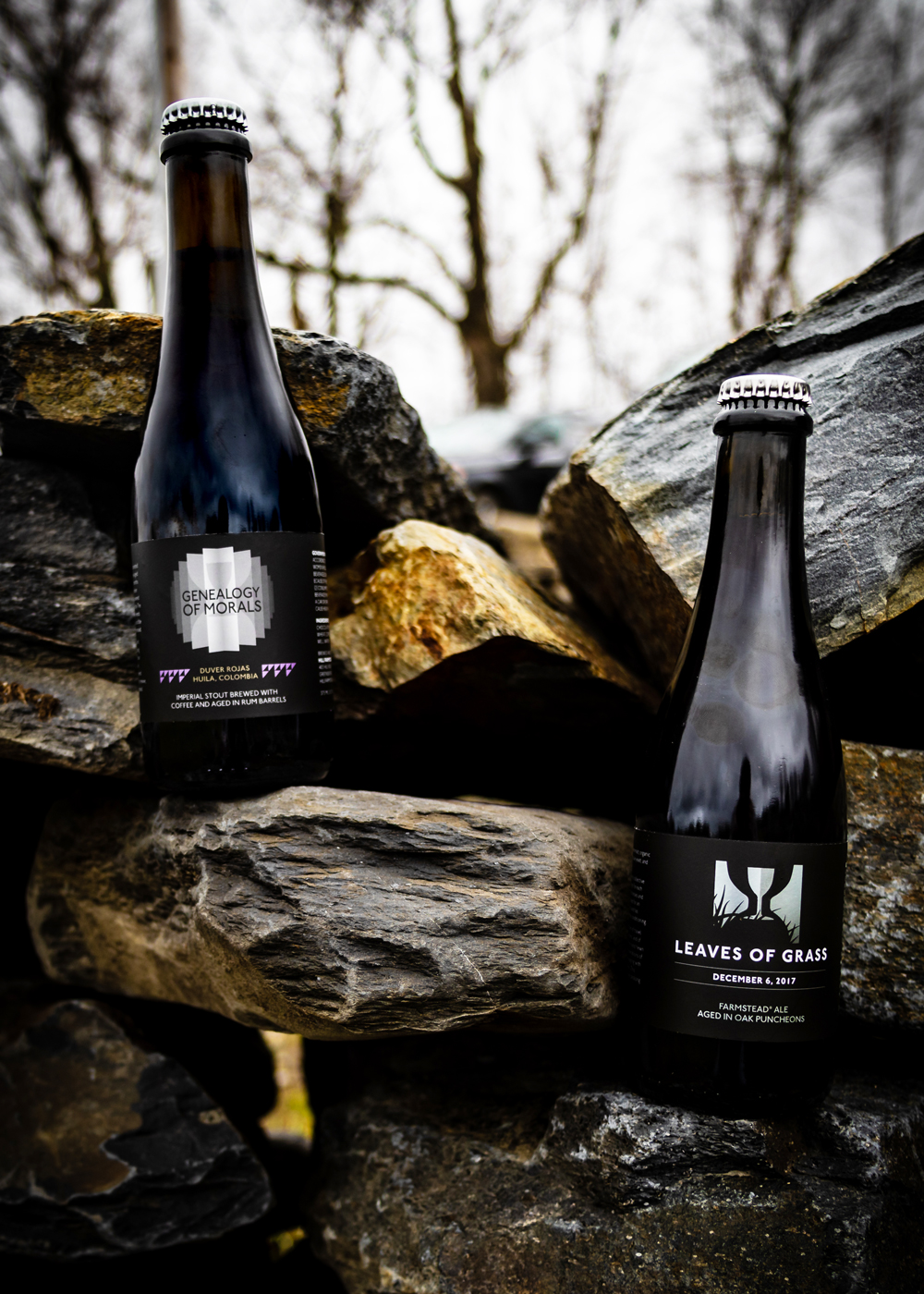 Retail Shop | Hill Farmstead Brewery