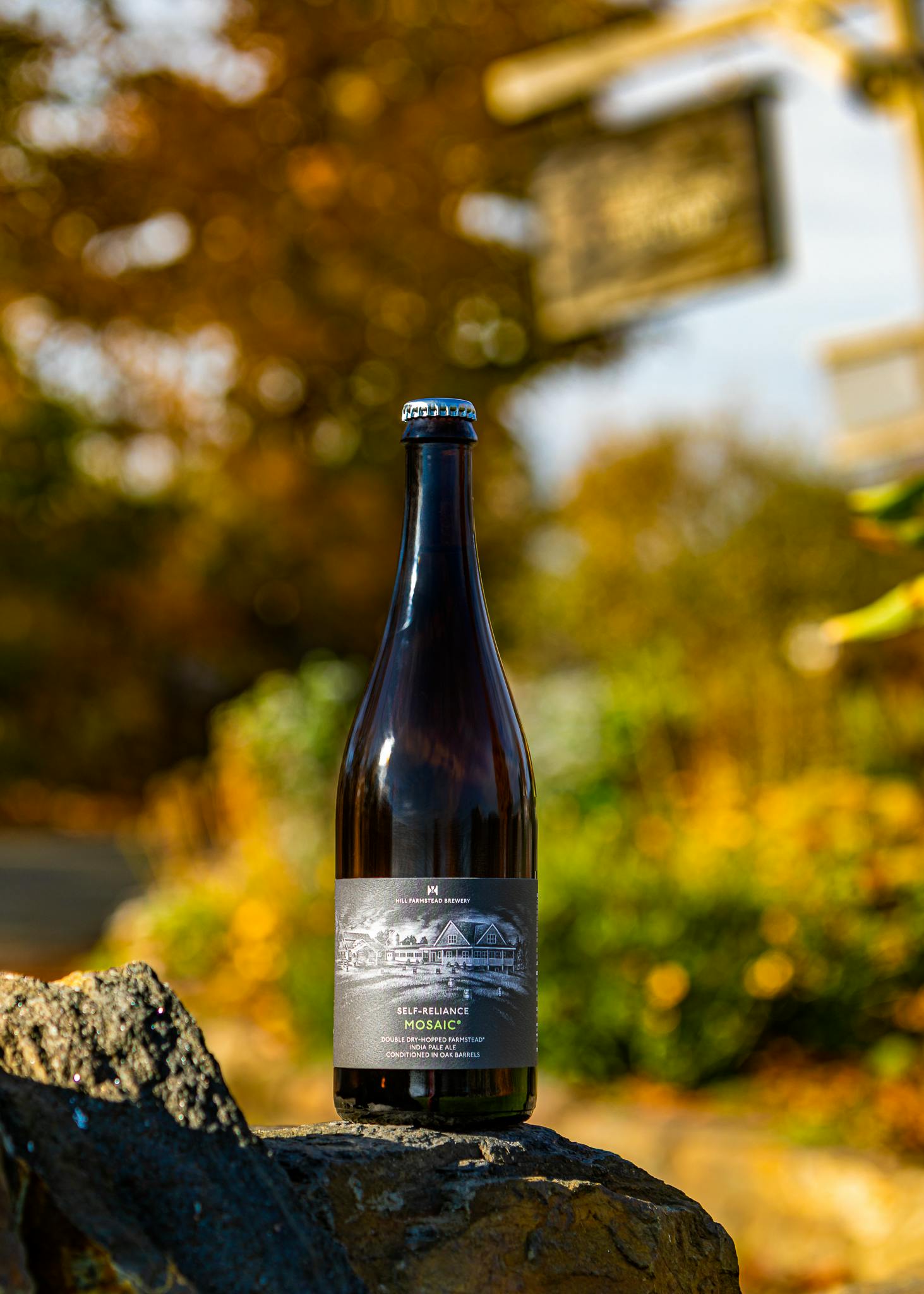 For the Week of 27 October 2021 | Hill Farmstead Brewery