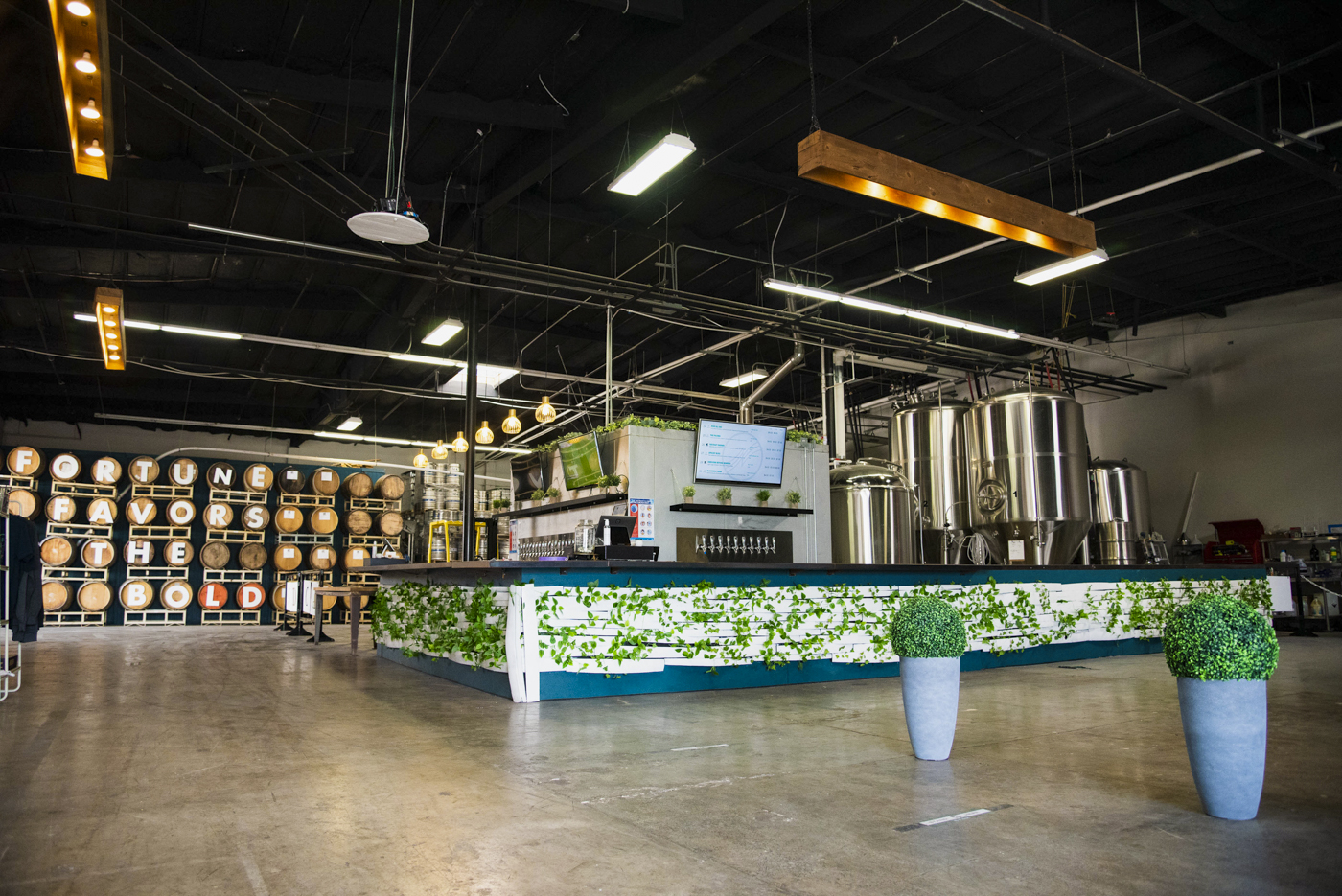 New Motion Beverages & Embolden Beer Co.