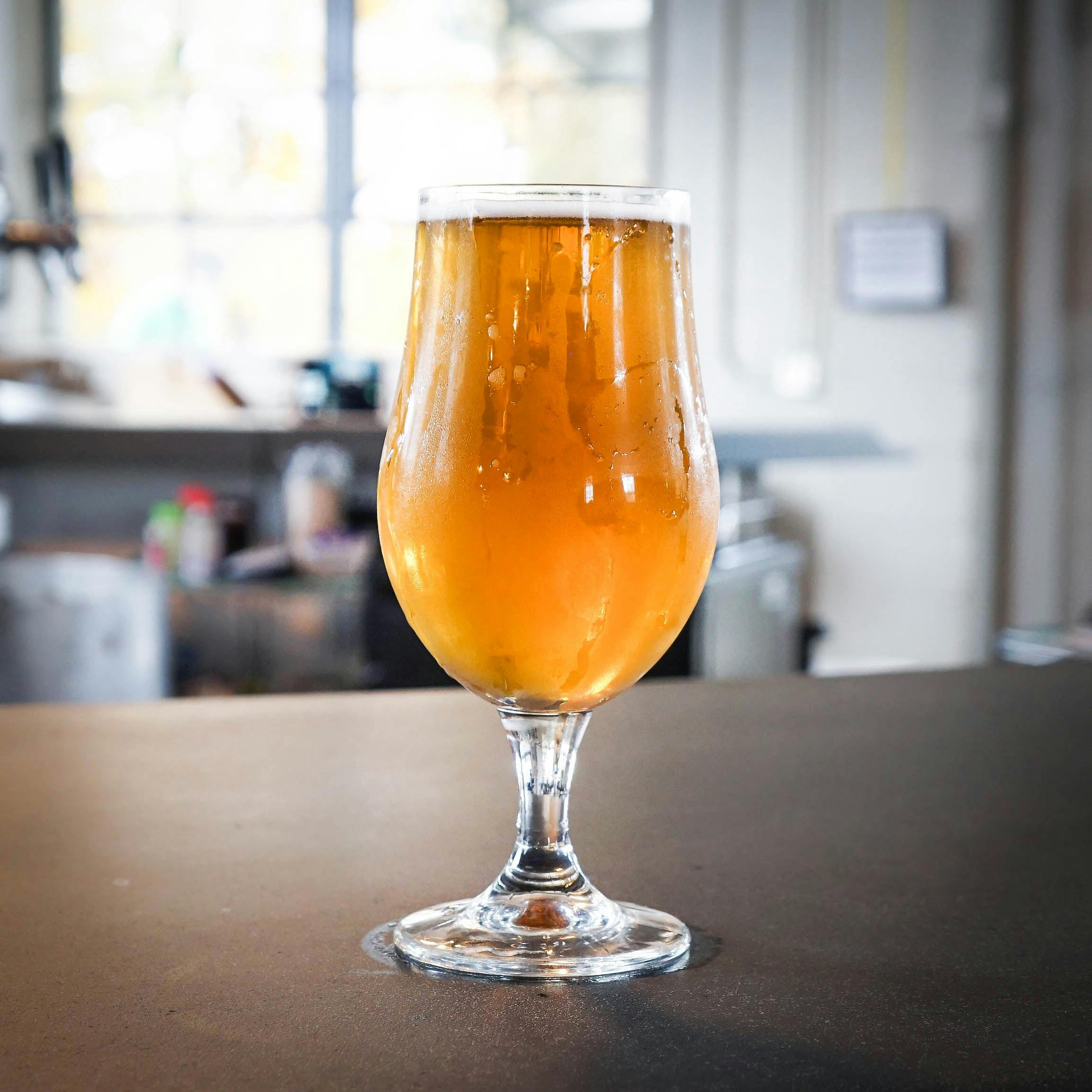 Very Table Genius Belgian Table Bier | One World Brewing