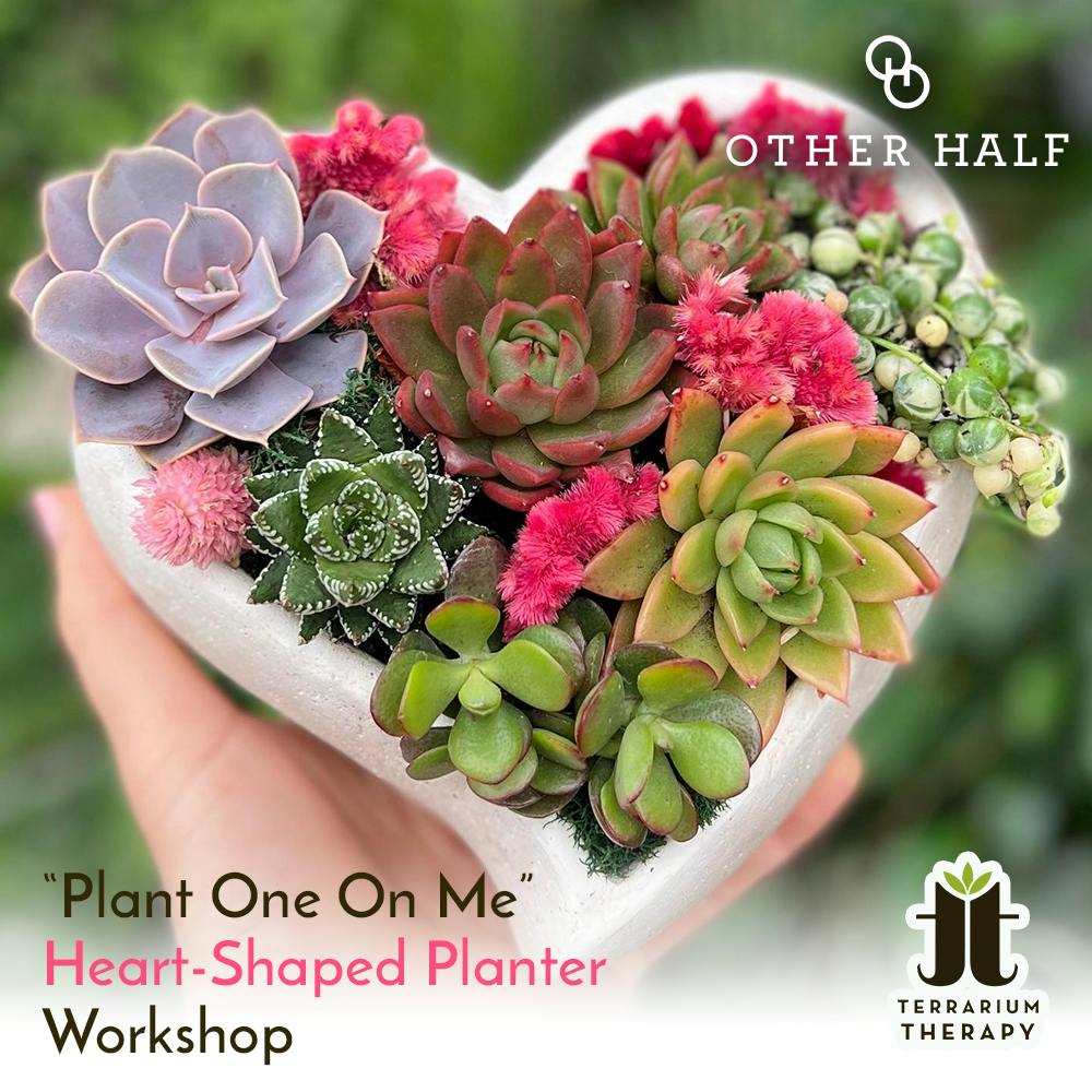Terrarium Therapy-”Plant One On Me”-Workshop | Other Half Brewing