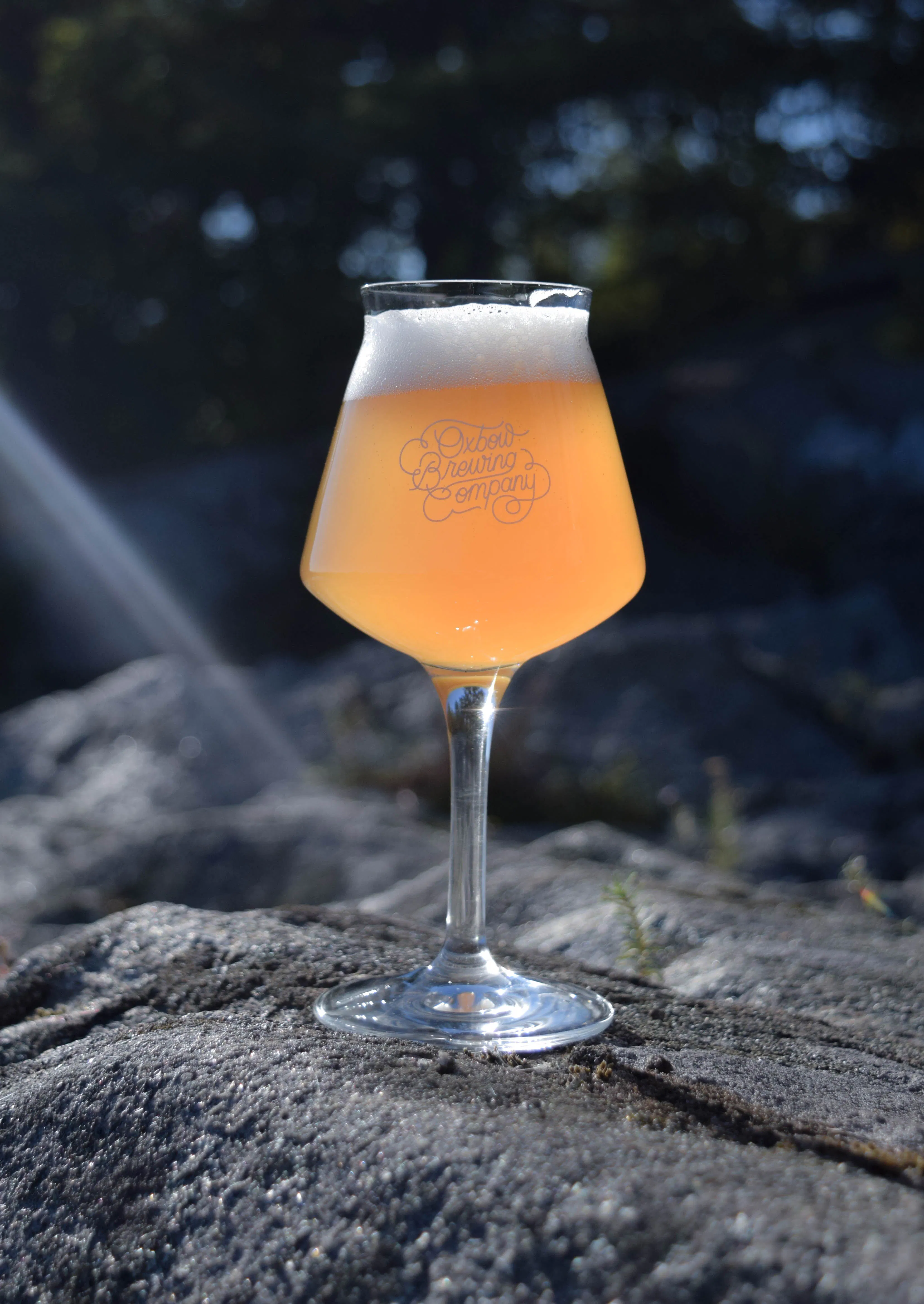 Photo Gallery | Oxbow Brewing Company