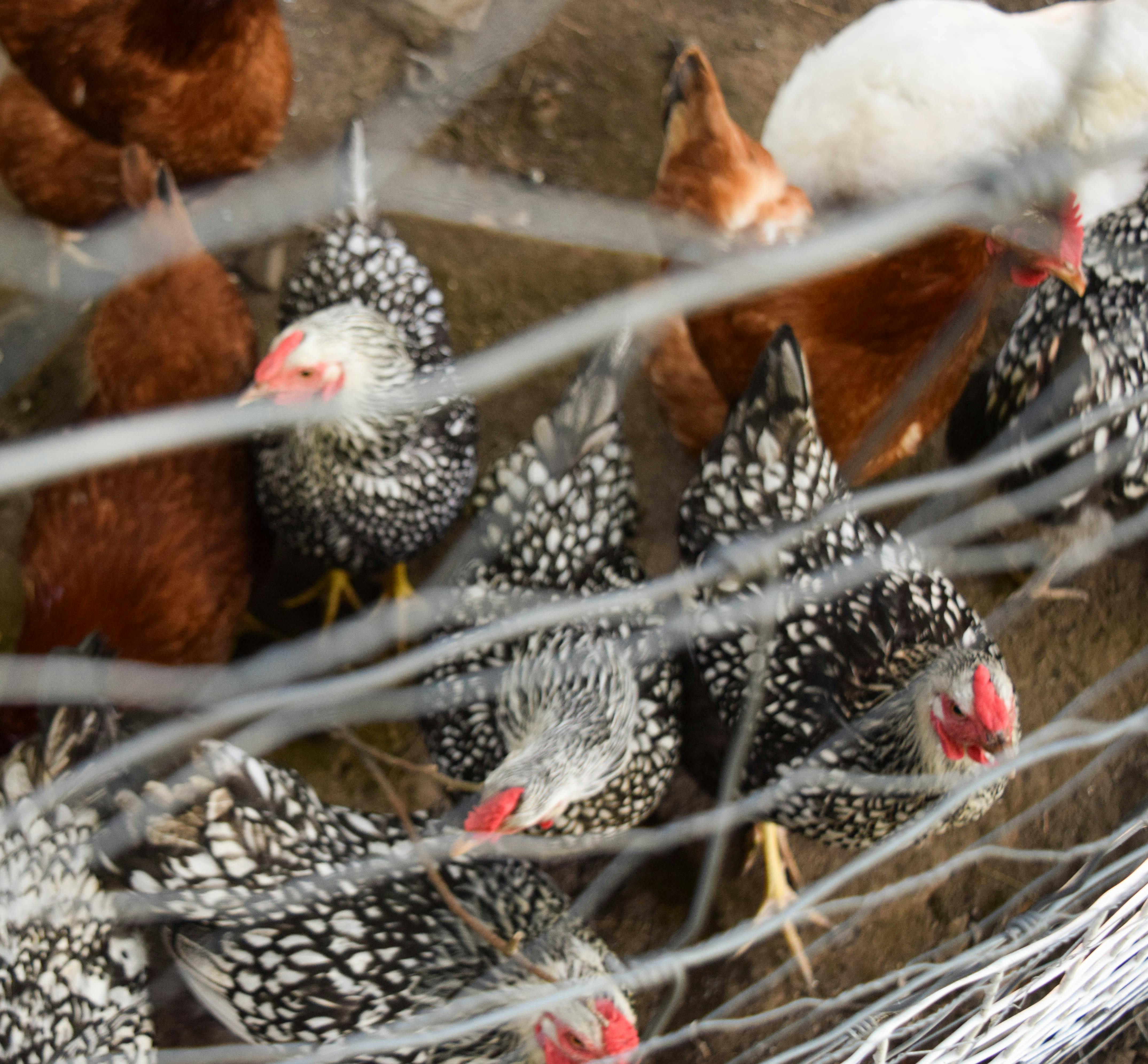 Photo Gallery | Oxbow Brewing Company