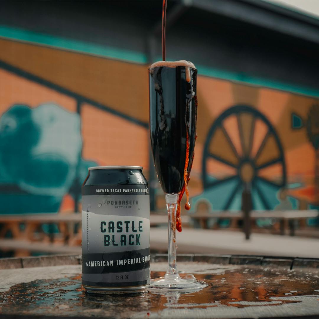 Castle Black | Pondaseta Brewing Co.