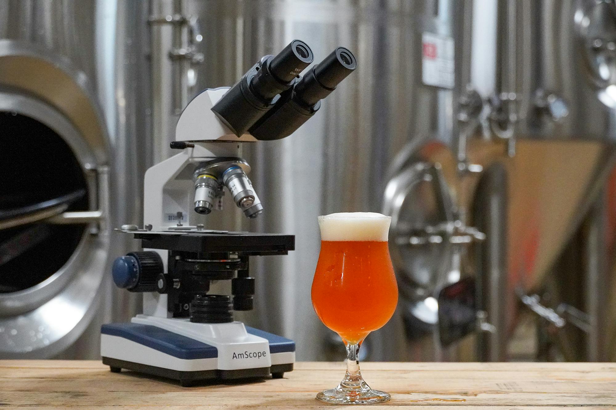 Round Table Brewery | Round Table Brewery