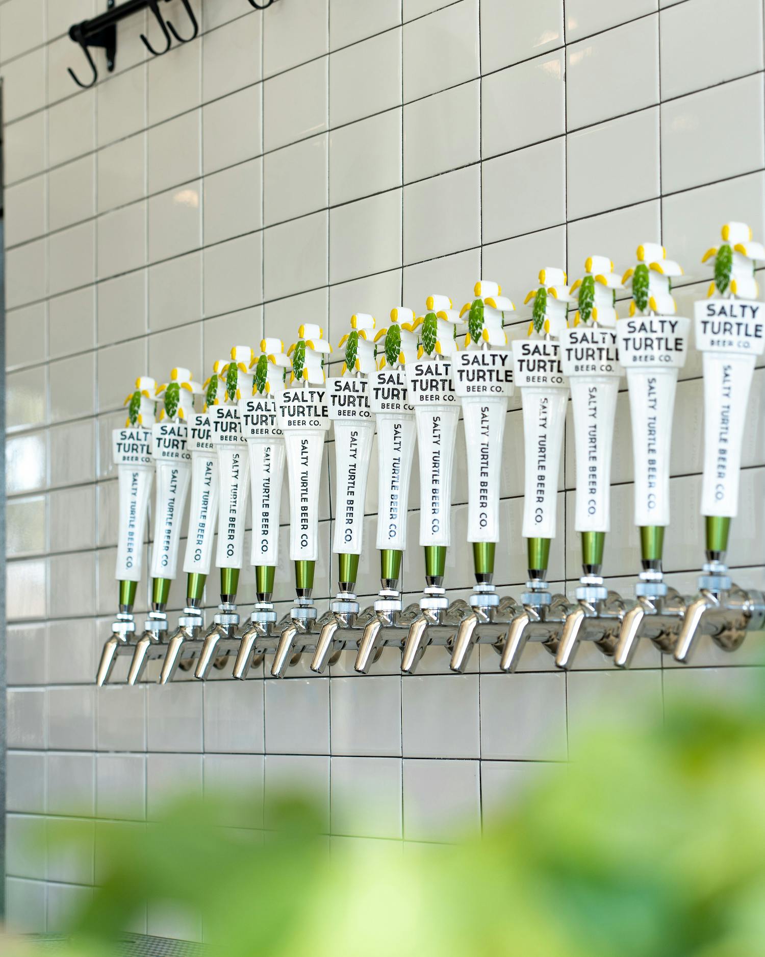 Raleigh Taproom | Salty Turtle Beer Co.