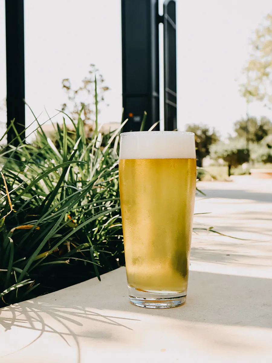 Boys of Summer | Talyard Brewing Co