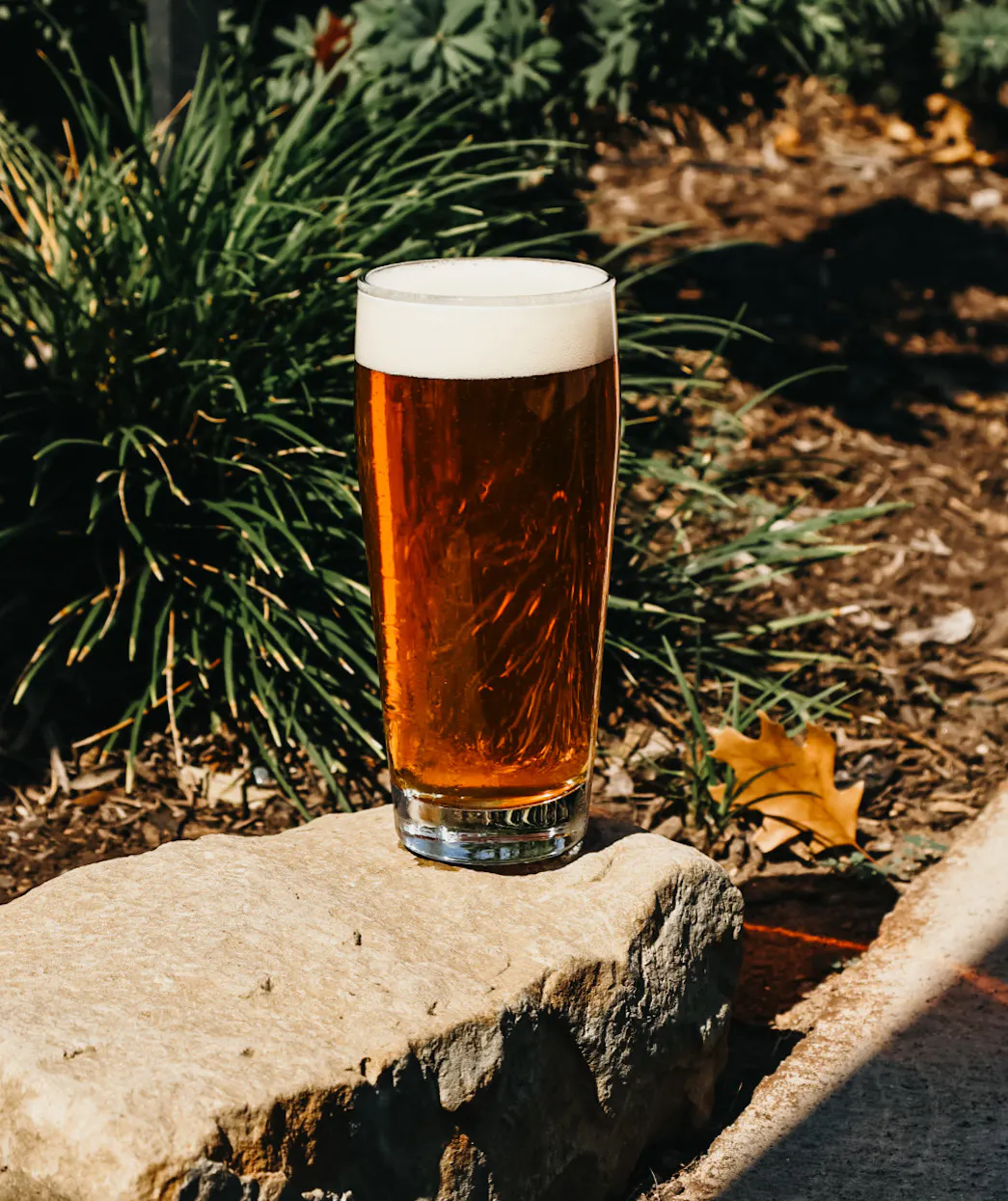 Jet-Set | Talyard Brewing Co
